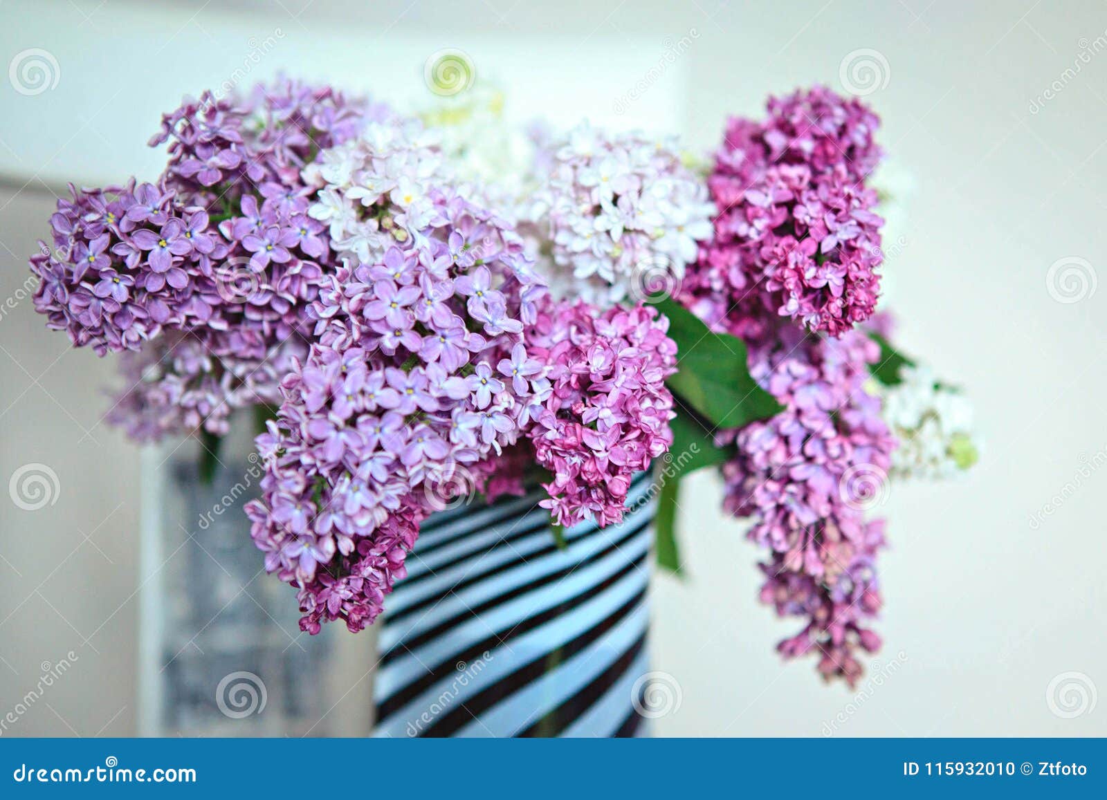 A Bouquet of Differently Colored Lilacs Stock Photo - Image of green ...