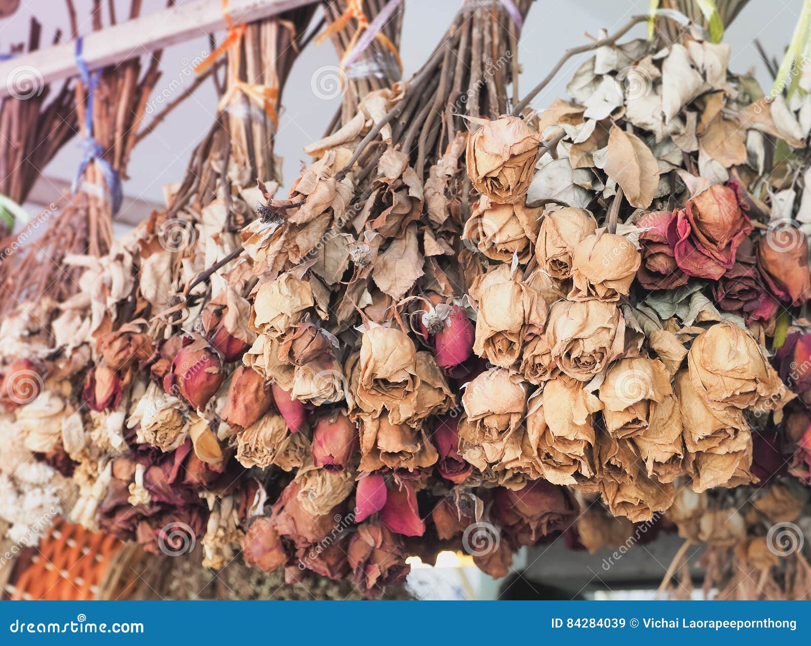 Bouquet of Dried Dying Roses Stock Image - Image of dried, celebration ...