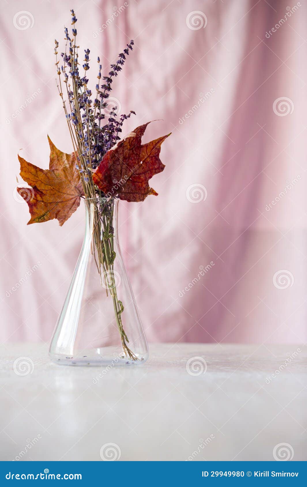 Bouquet of Dried Flowers and Maple Leaves in Flask Stock Photo - Image ...