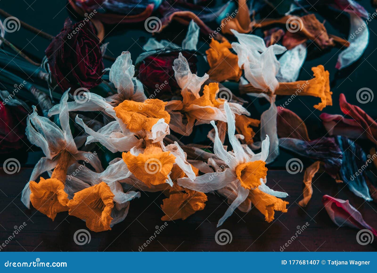 Bouquet of Dried Red Roses and Orange Daffodils on a Table Stock Image ...