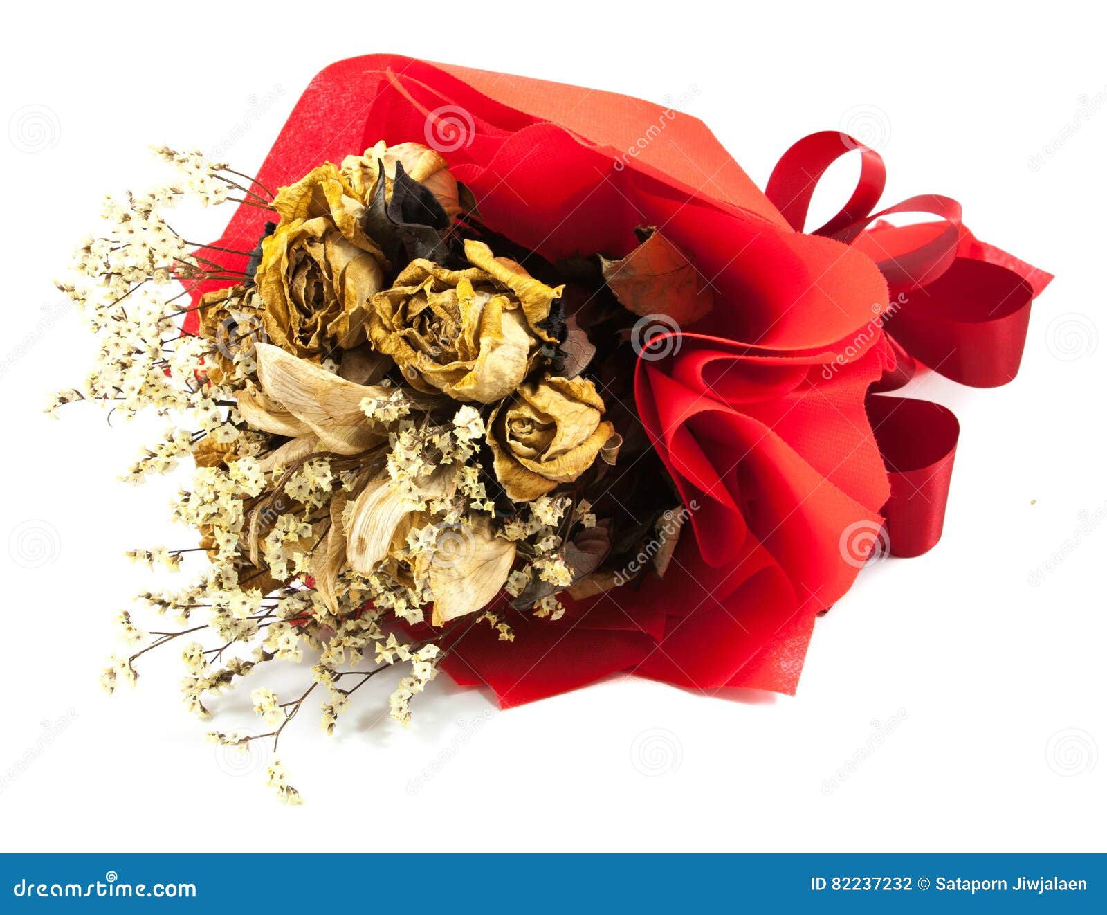 A Bouquet of Dried Rose Isolated Stock Photo - Image of nature, close ...