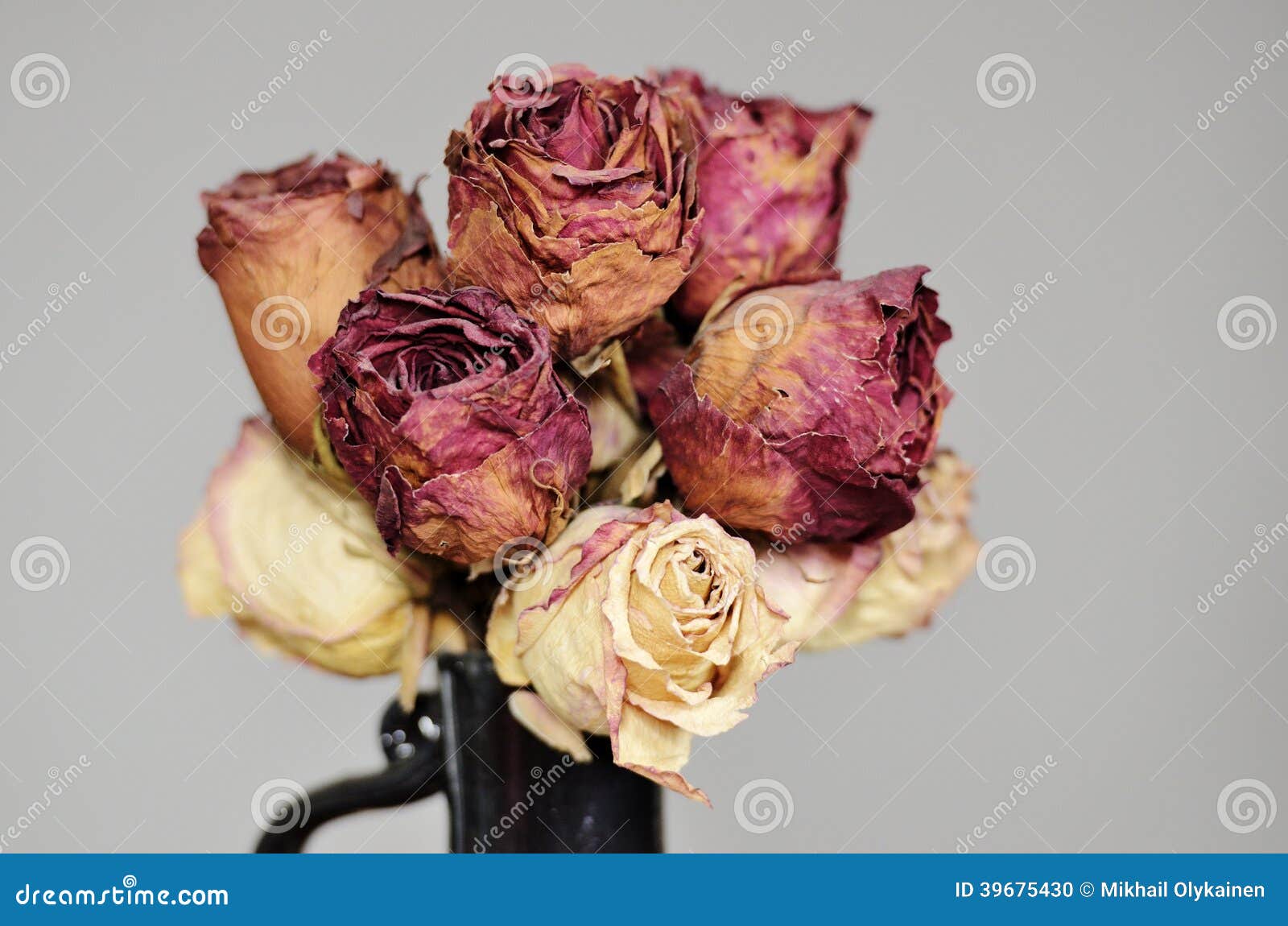 A Bouquet Of Dried Flowers, Roses, Rowan, Herbs In A Light Vase Stock ...