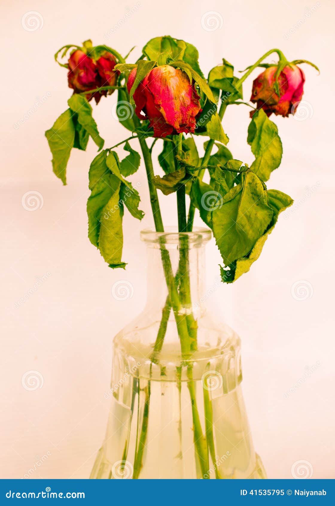 Bouquet of dried roses stock image. Image of pink, floral - 41535795