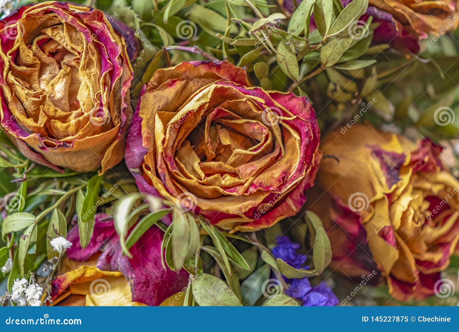 Bouquet of Dried Roses and Various Complementary Plants Stock Image ...