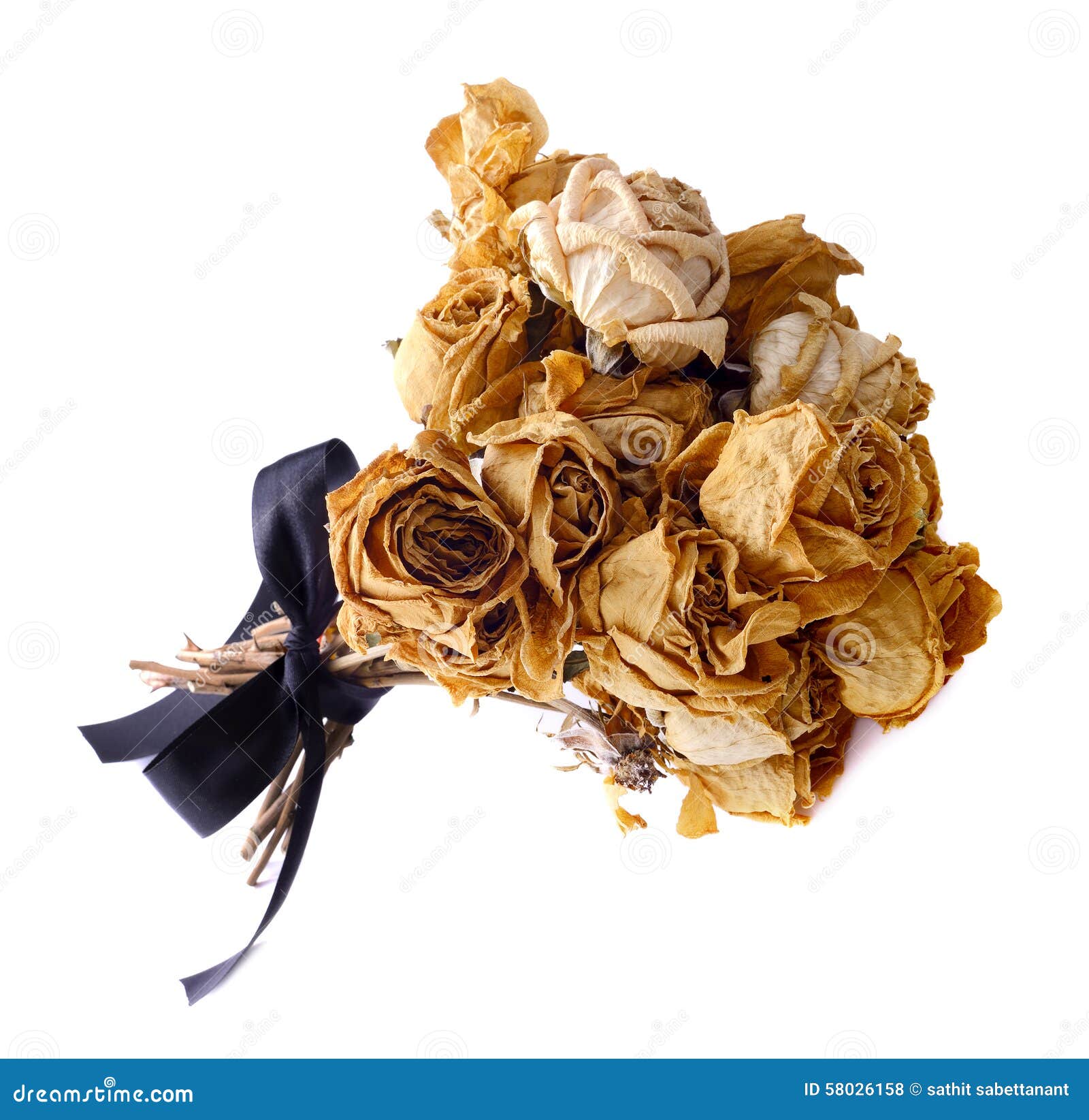 A Bouquet of Dried Roses on White Background. Stock Photo - Image of ...