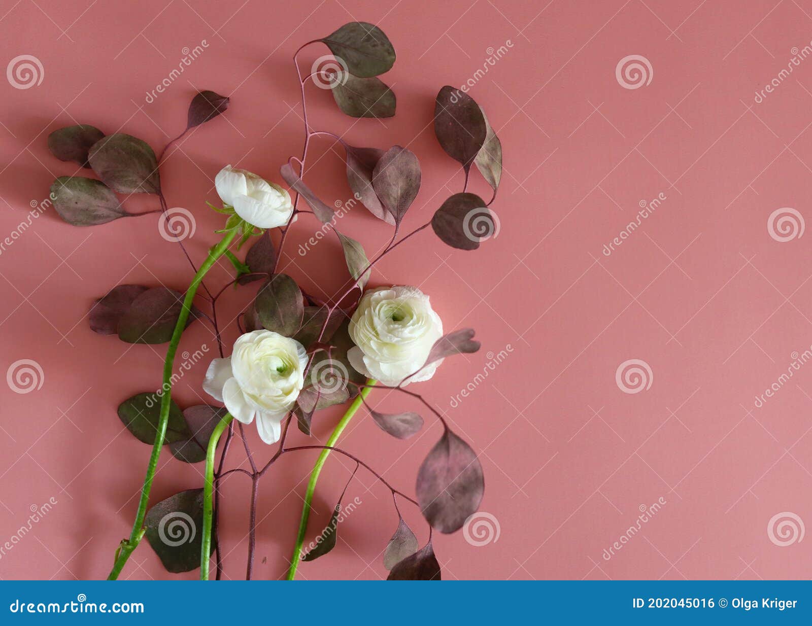 Bouquet of festive flowers stock photo. Image of plant - 202045016