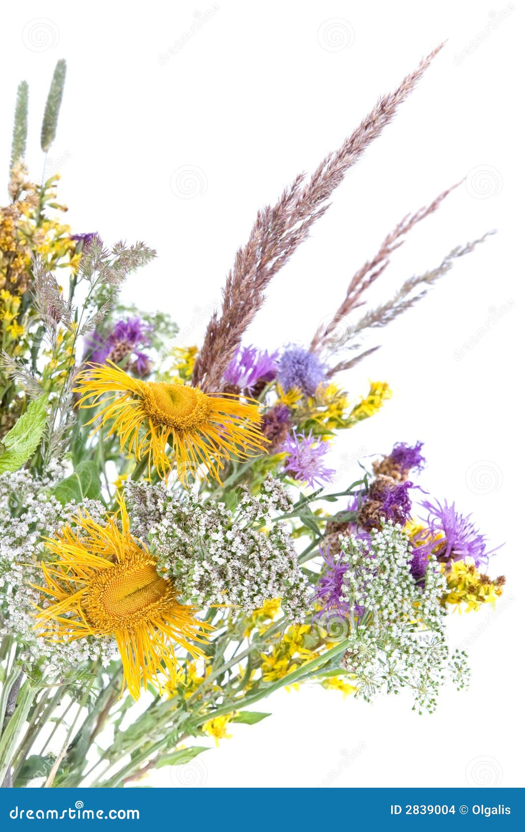 Bouquet of field flowers stock photo. Image of leaf, multi - 2839004