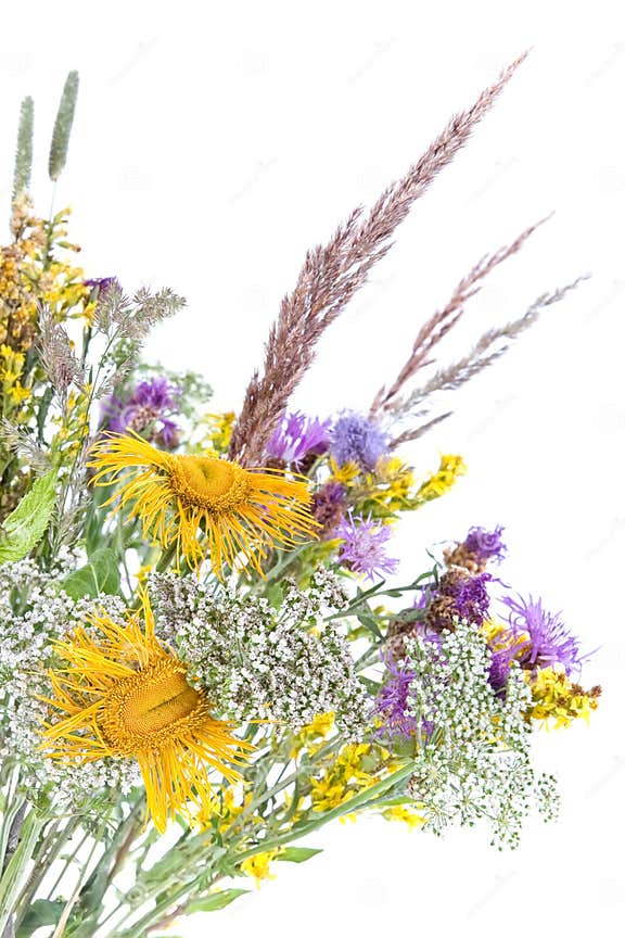 Bouquet of field flowers stock photo. Image of leaf, multi - 2839004