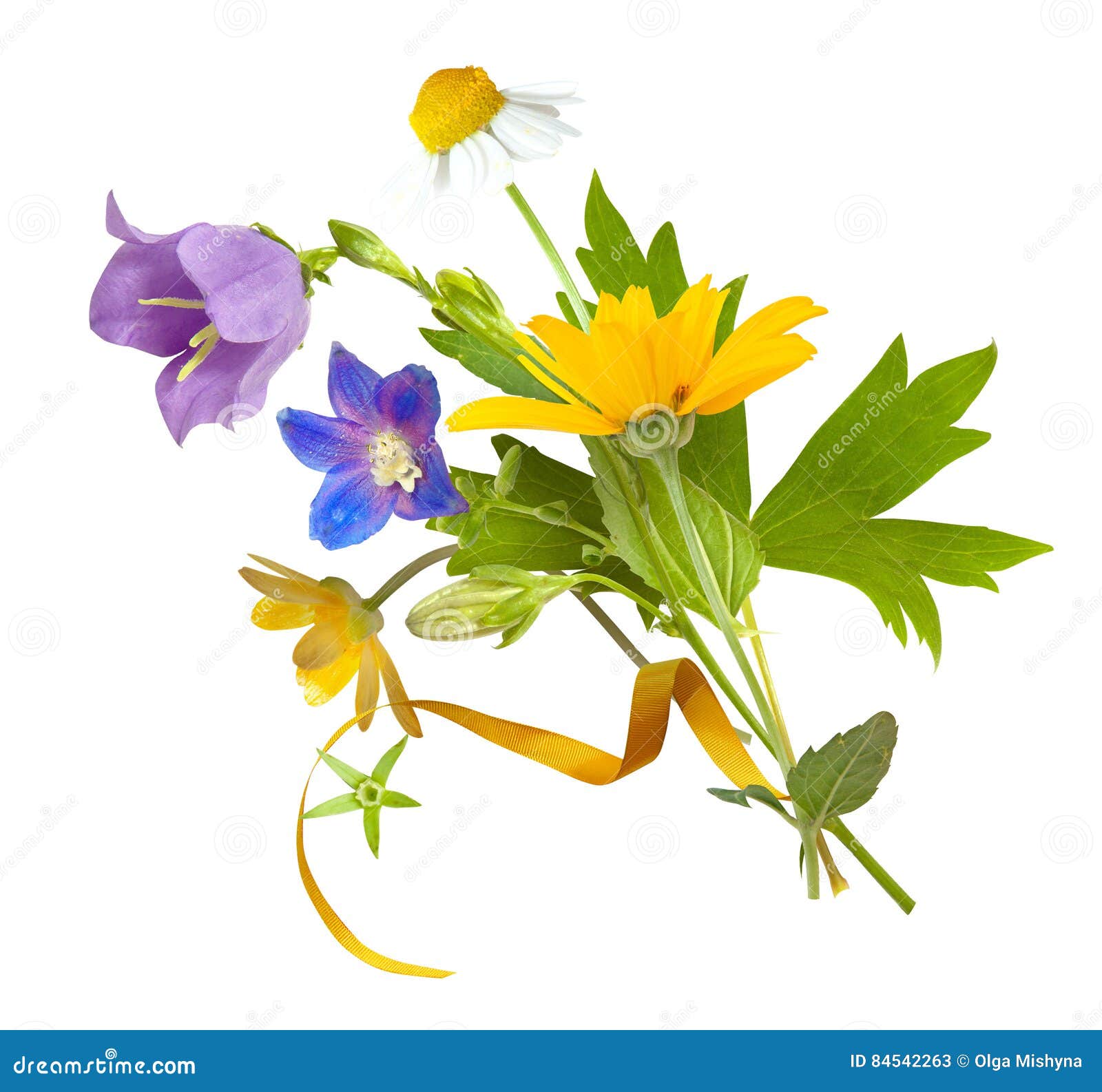 Bouquet of the Field Wild Flowers, Easter Colors, Isolated Stock Image ...