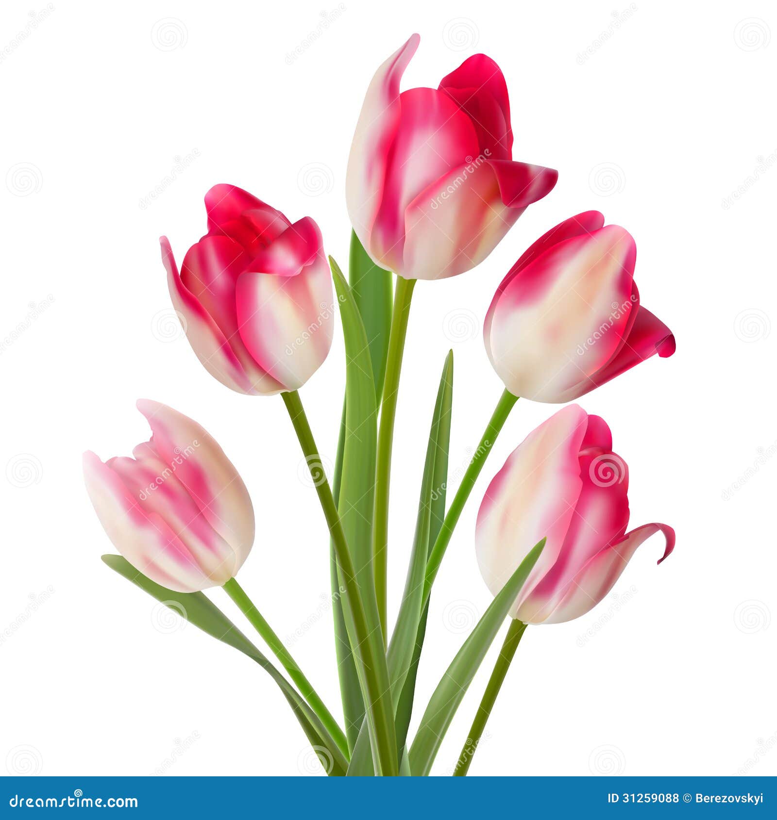 Bouquet from Five Flowers on White. EPS 10 Stock Vector - Illustration ...