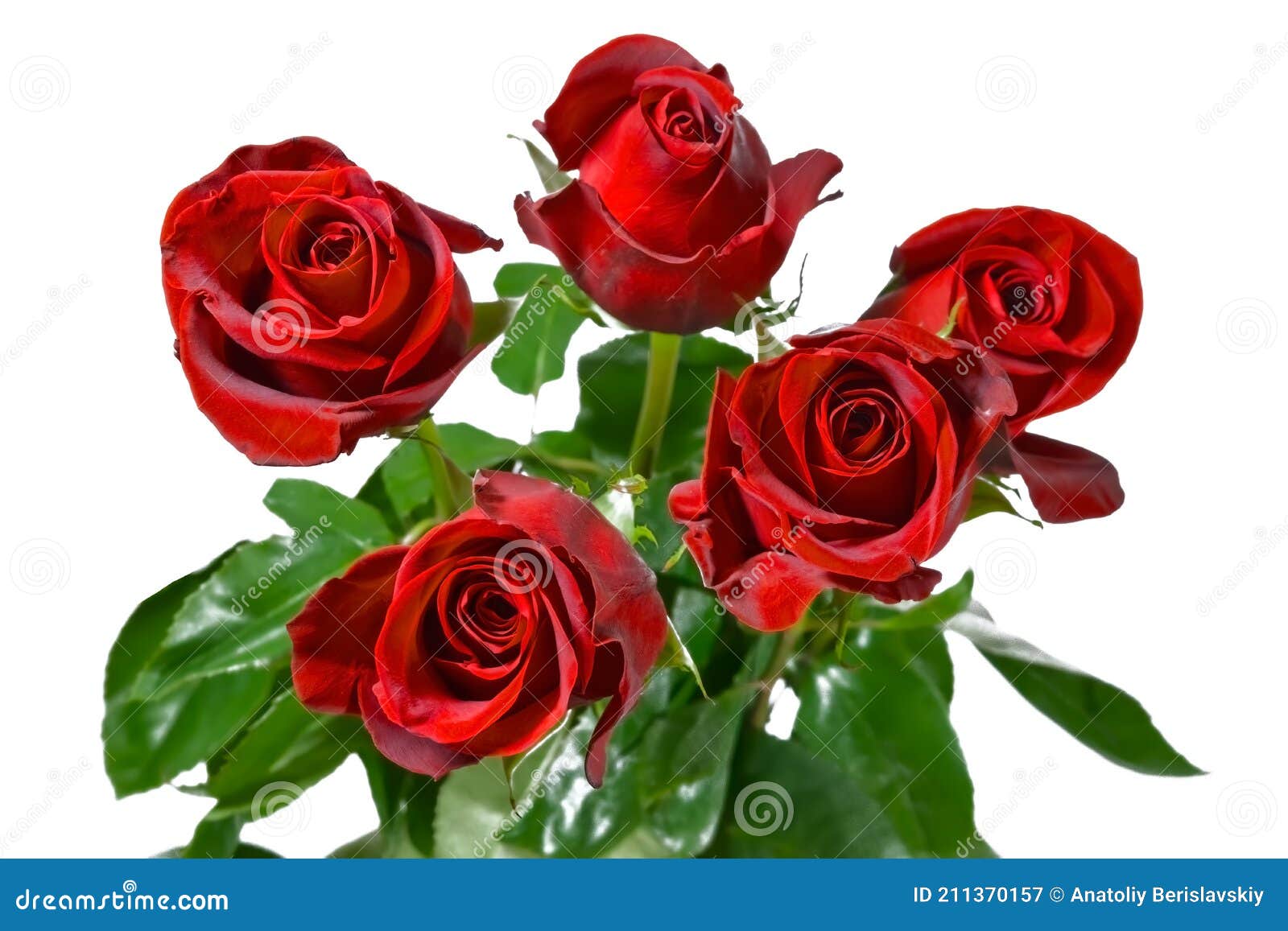 Bouquet of Five Red Roses Isolate on a White Background Stock Image ...