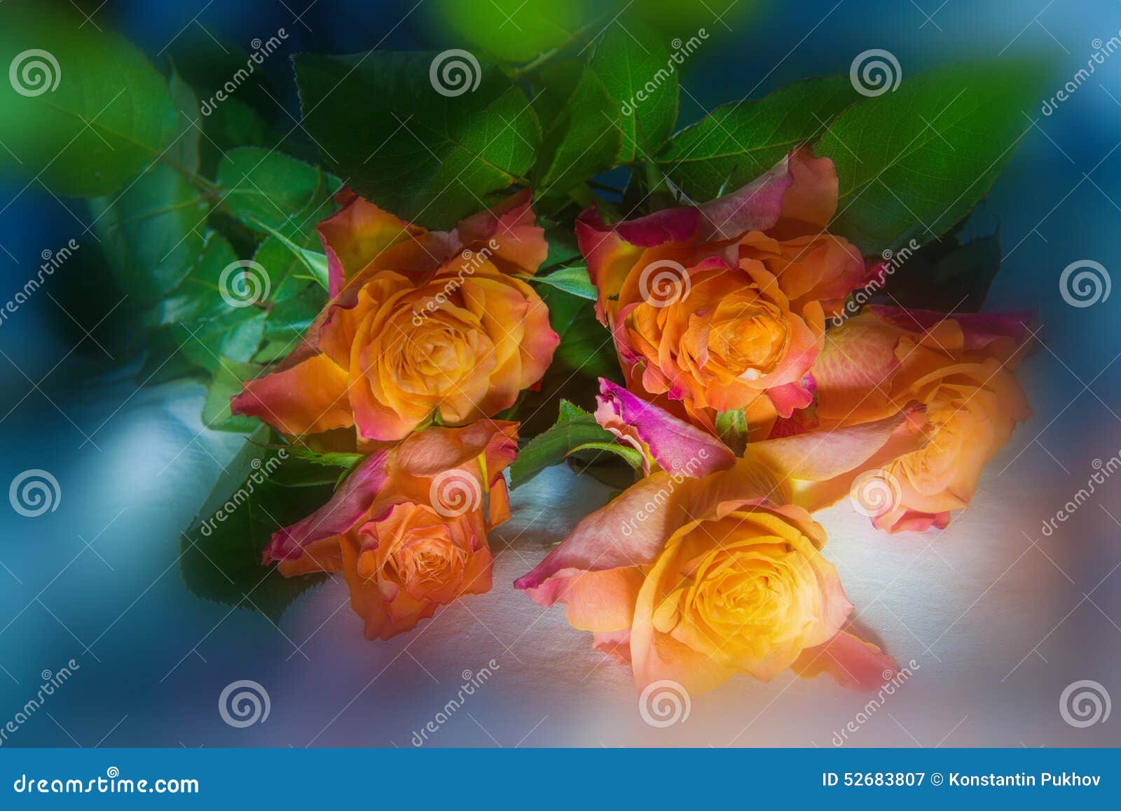 Bouquet of five roses stock image. Image of gift, plant - 52683807
