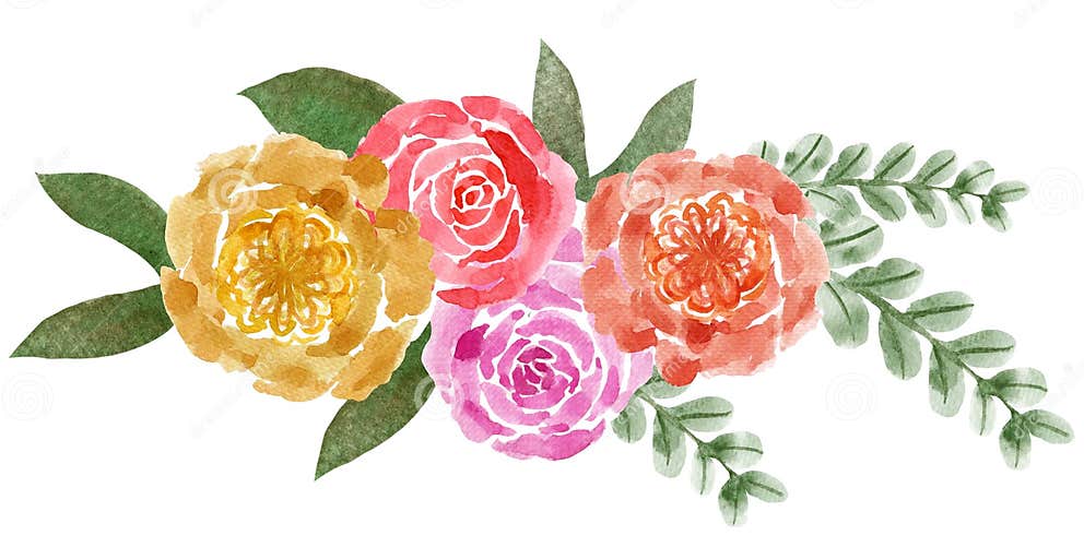 Bouquet Flower Rose Peony Frame Border Watercolor Illustration For