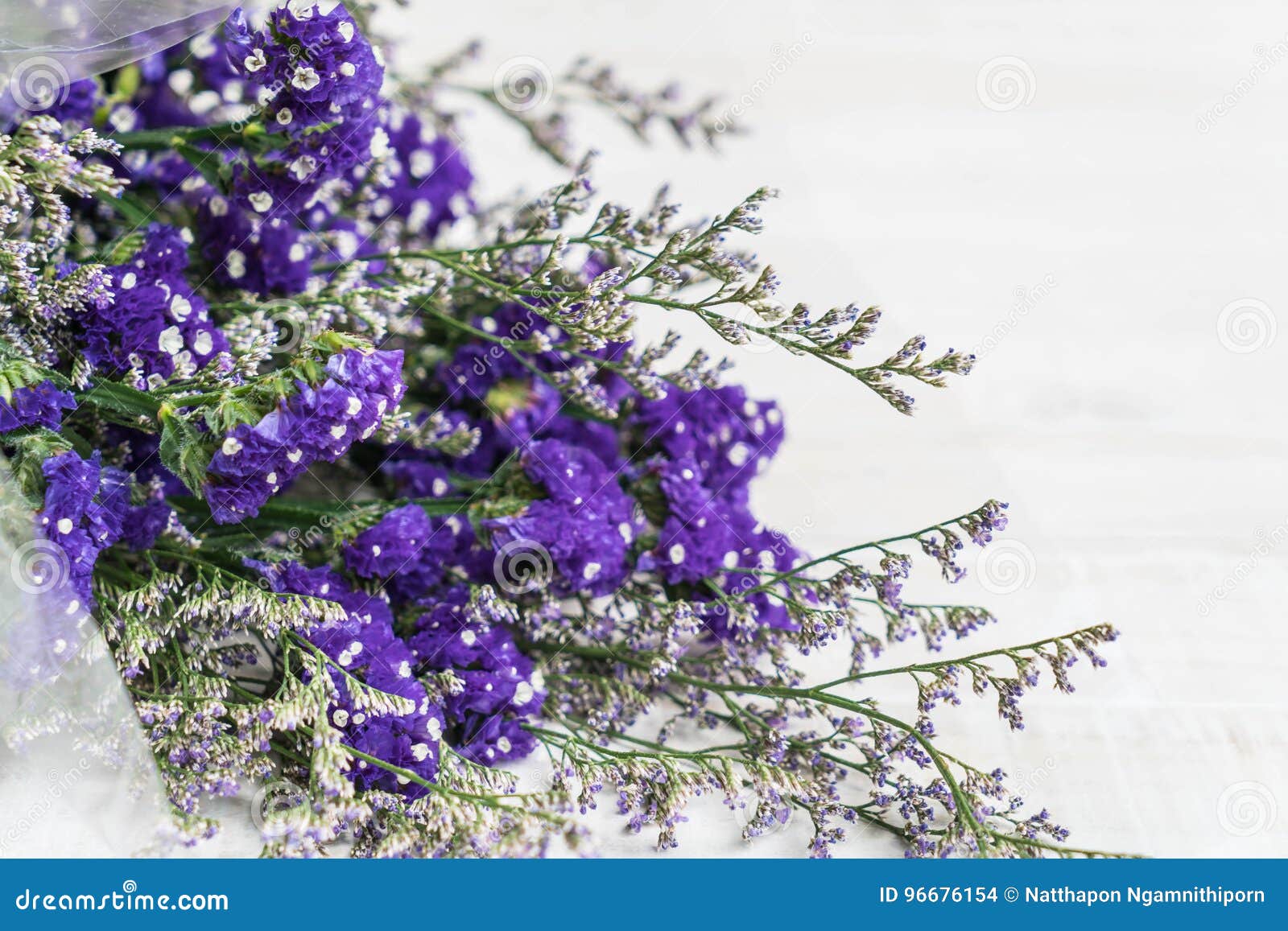 Bouquet flower of statis stock photo. Image of isolated - 96676154