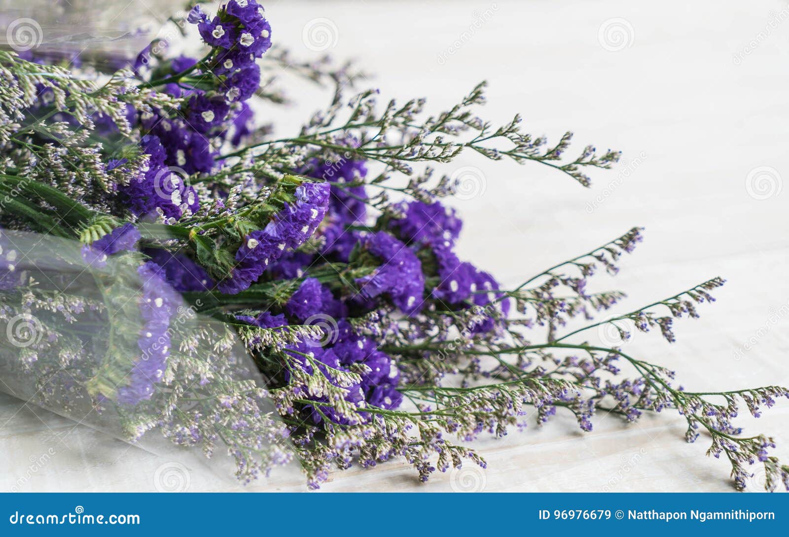 Bouquet flower of statis stock image. Image of filler - 96976679