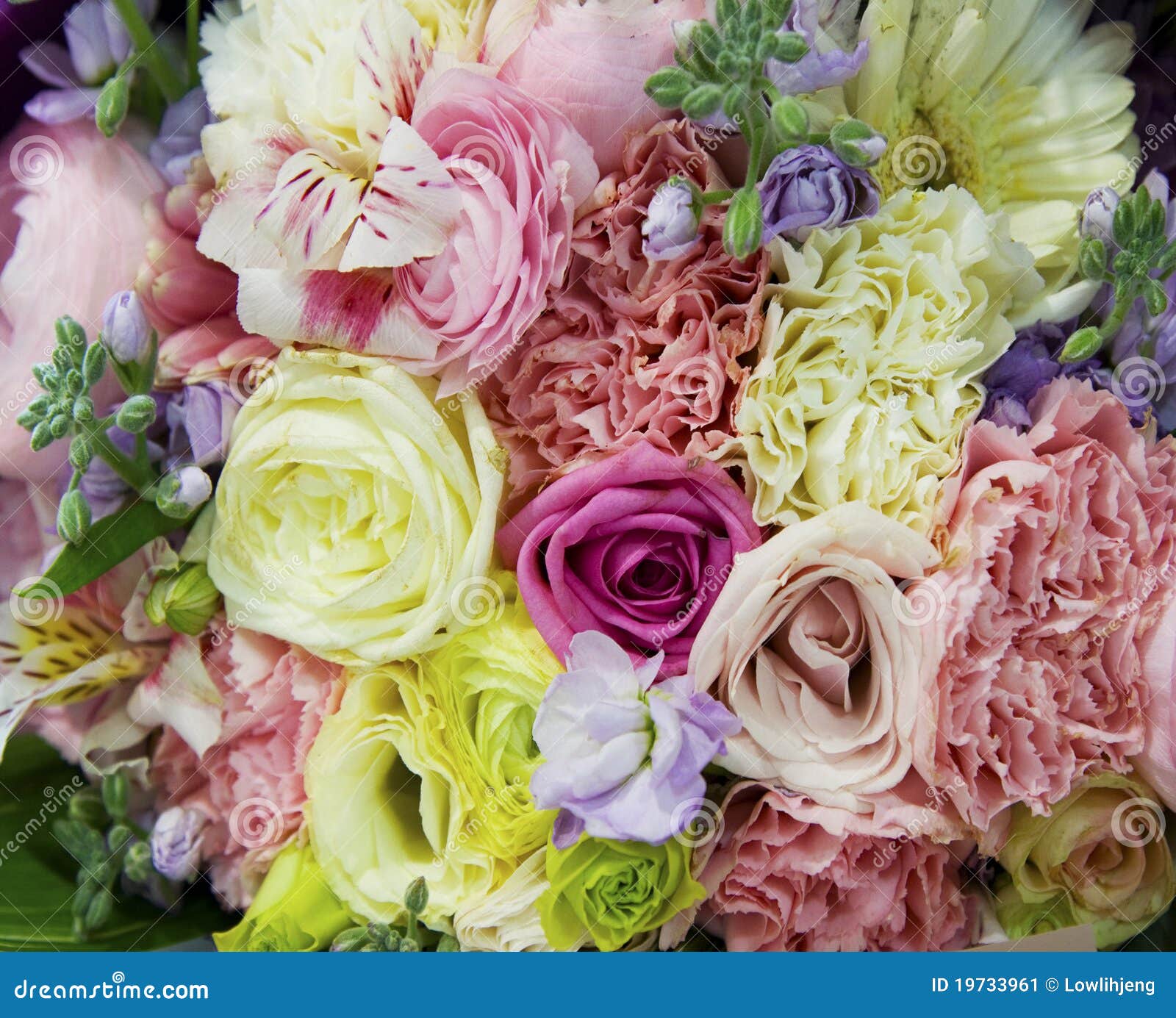 Friendship Flowers Beautiful