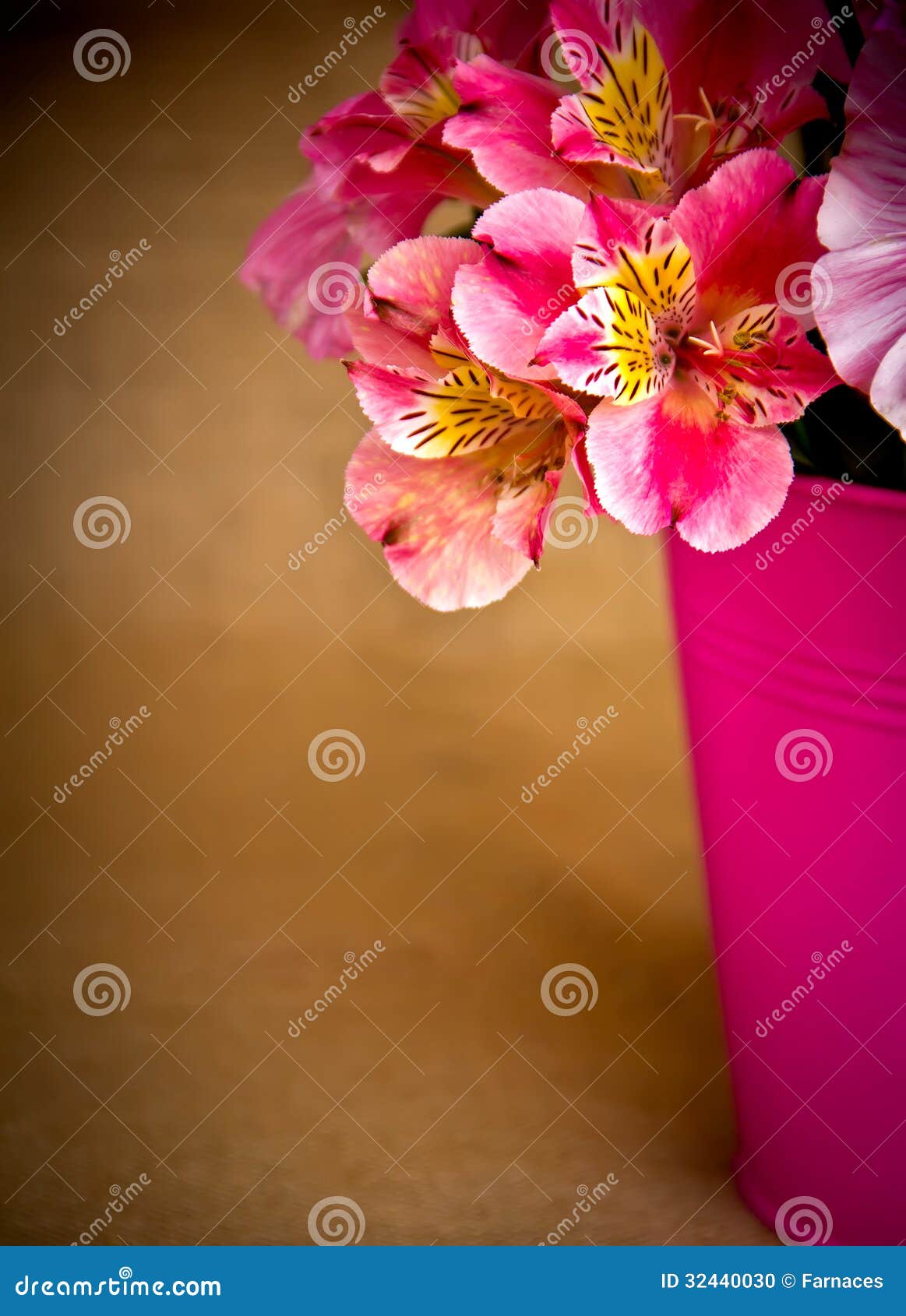 Bouquet stock photo. Image of celebrating, nature, fresh - 32440030