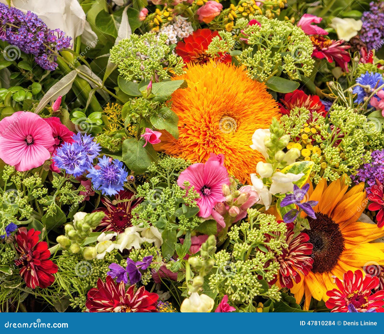 Bouquet of Flowers stock photo. Image of petunia, close - 47810284