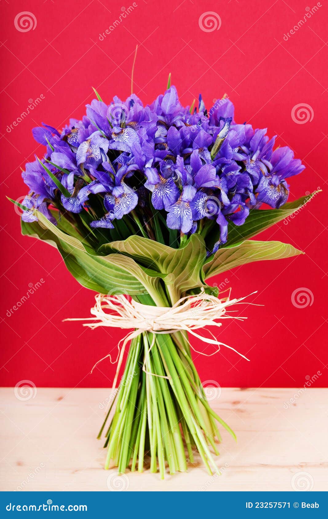 Bouquet of flowers iris stock image. Image of florist - 23257571