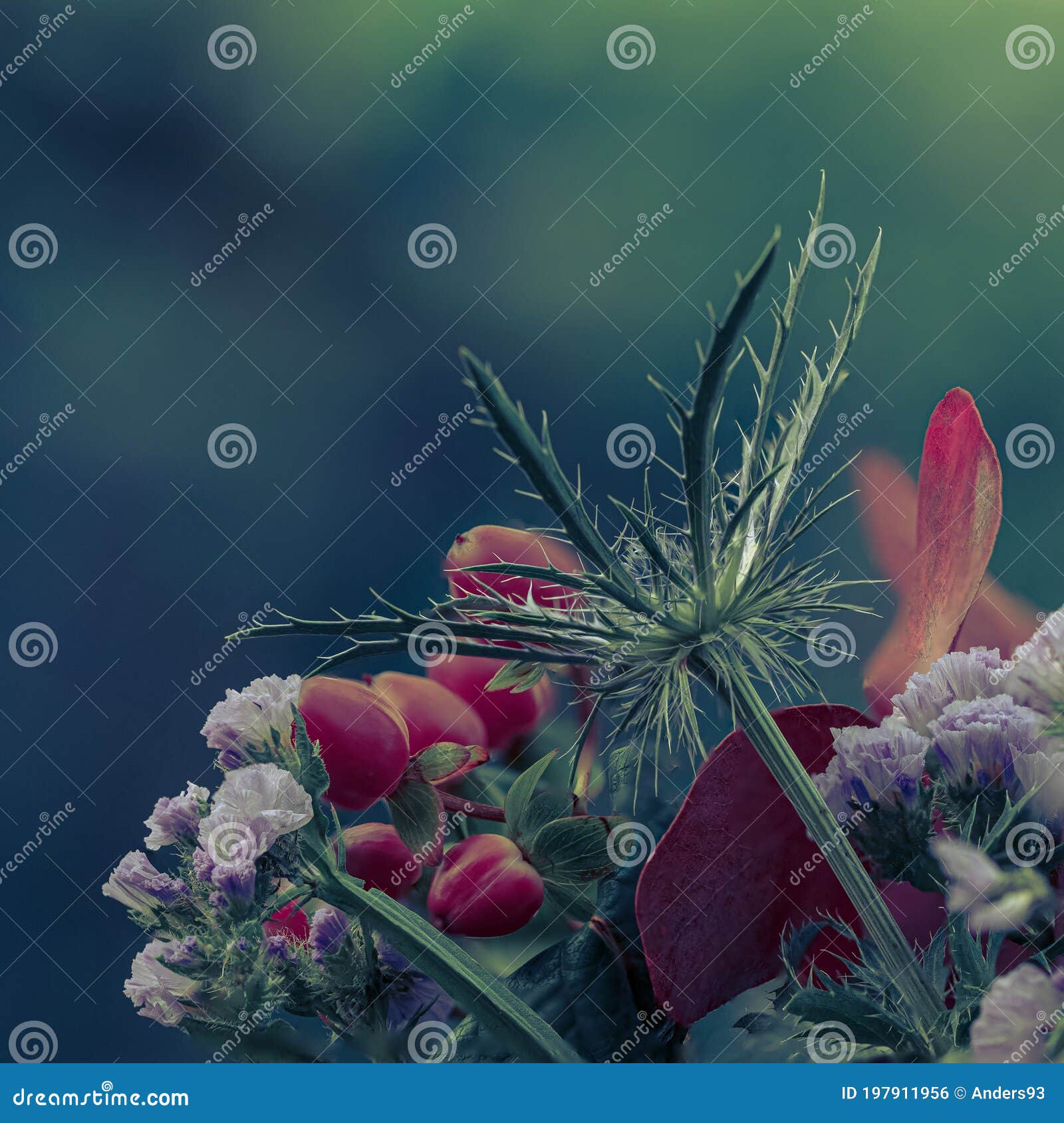 Bouquet of flowers stock photo. Image of beautiful, design - 197911956