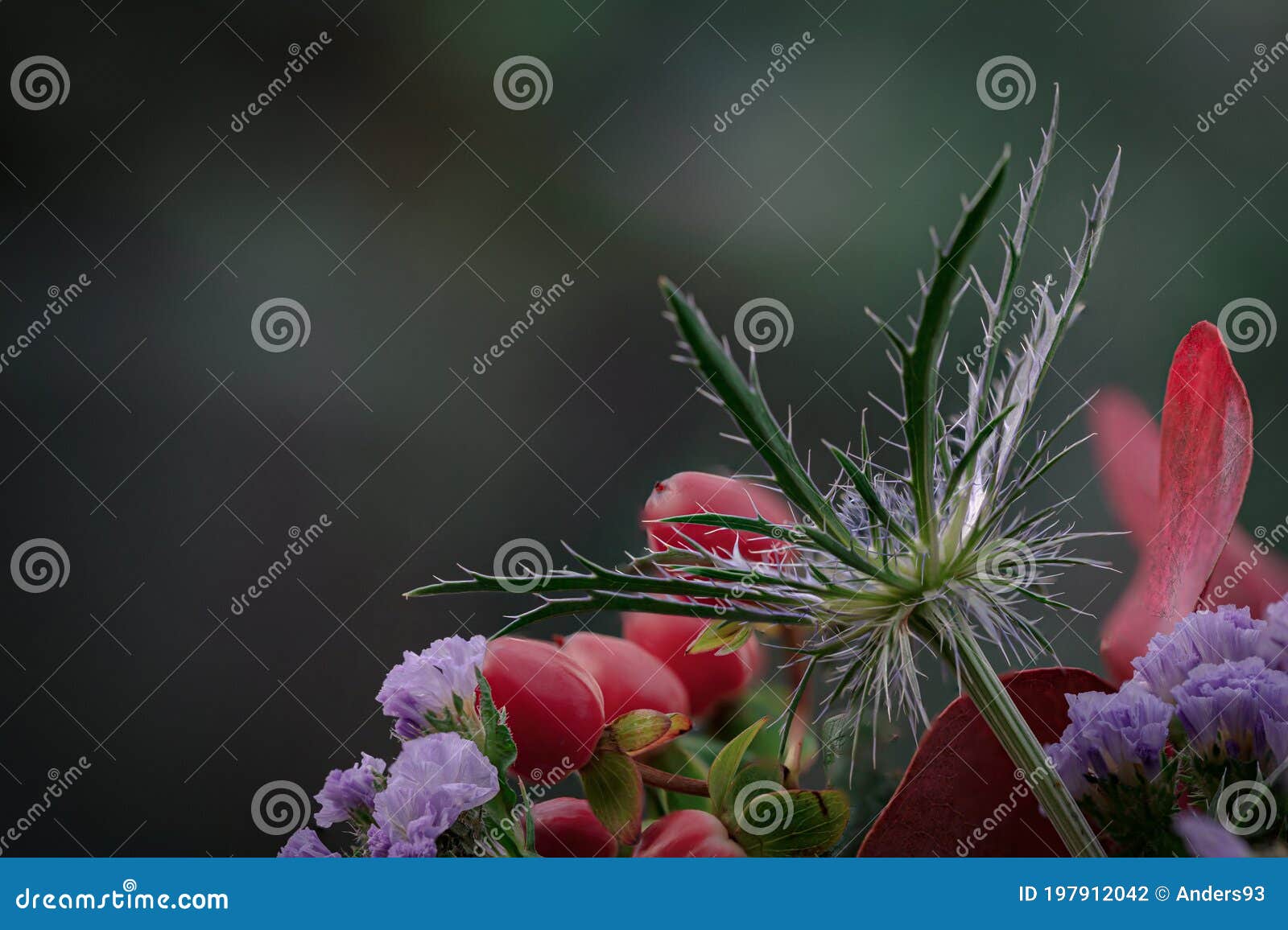 Bouquet of flowers stock photo. Image of arrangement - 197912042