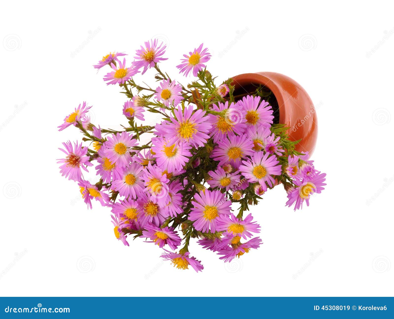 Bouquet of Flowers in a Vase Inverted Stock Image - Image of inverted ...