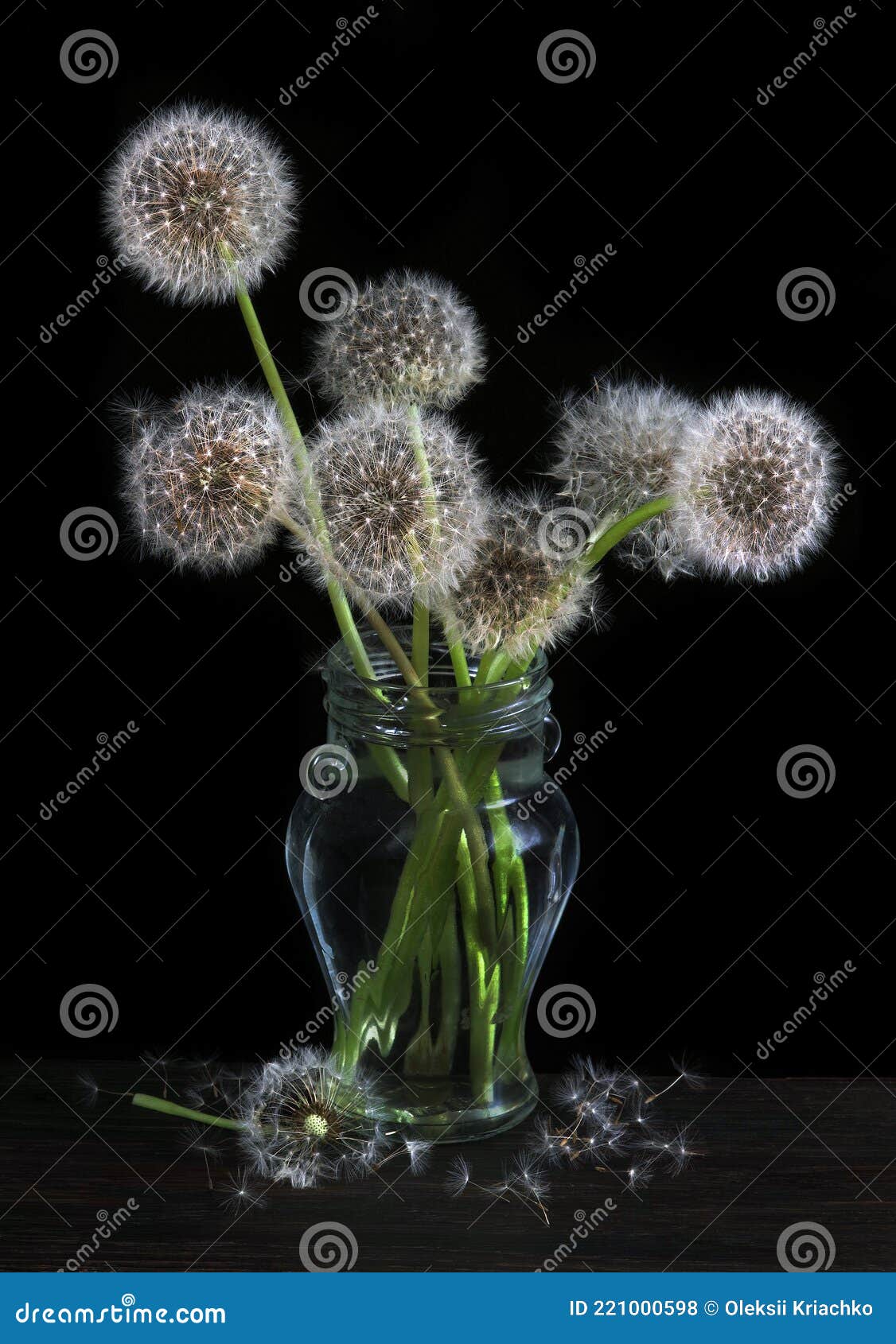 Bouquet of Fluffy Dandelions in Glass Vase Stock Photo - Image of ...