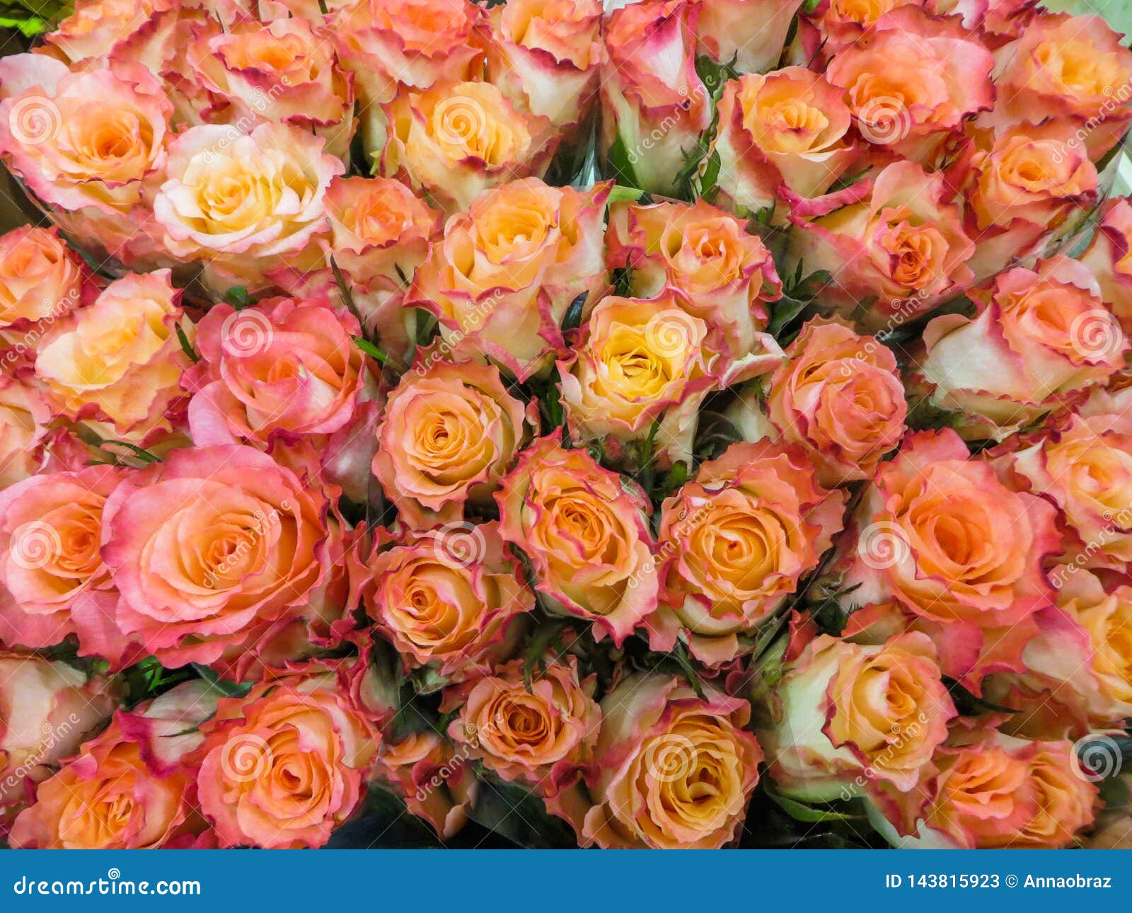 A Bouquet of Fresh Beautiful Orange Roses in a Vase Stock Image - Image ...