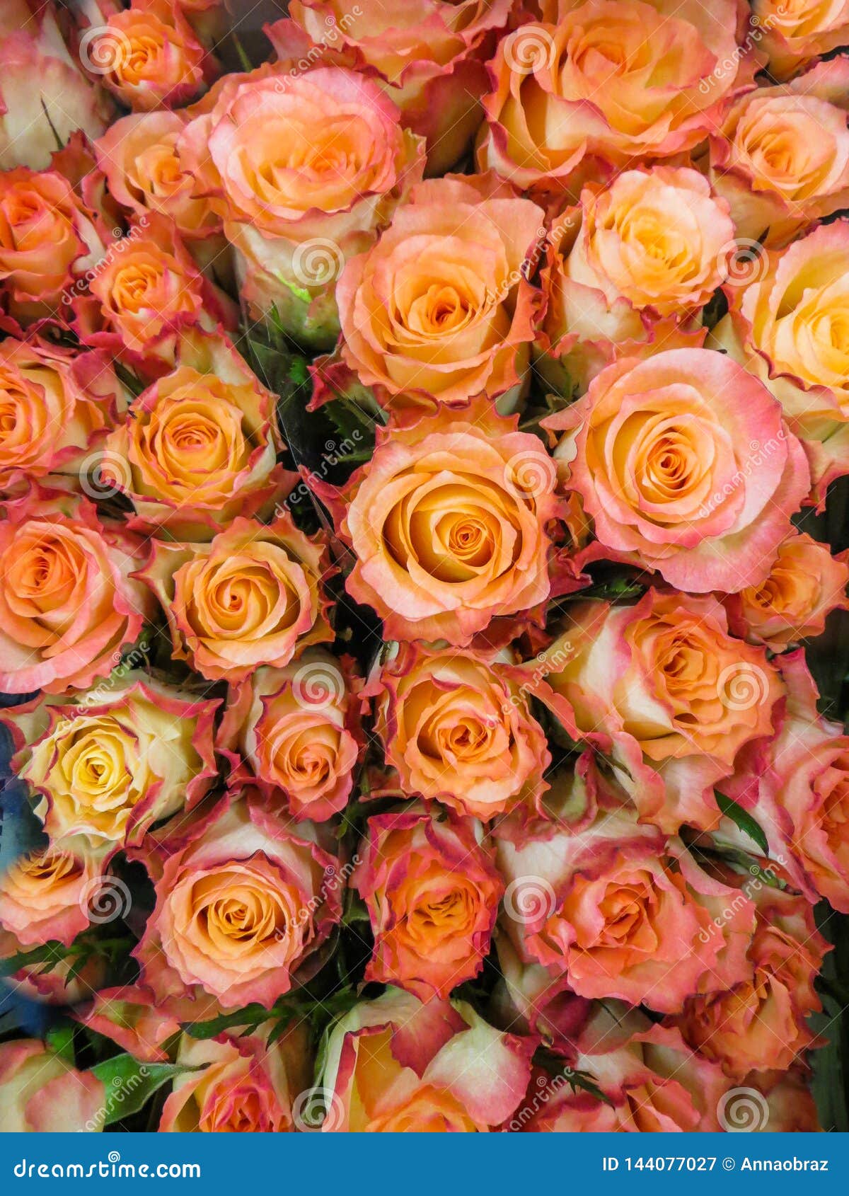 A Bouquet of Fresh Beautiful Orange Roses in a Vase Stock Image - Image ...