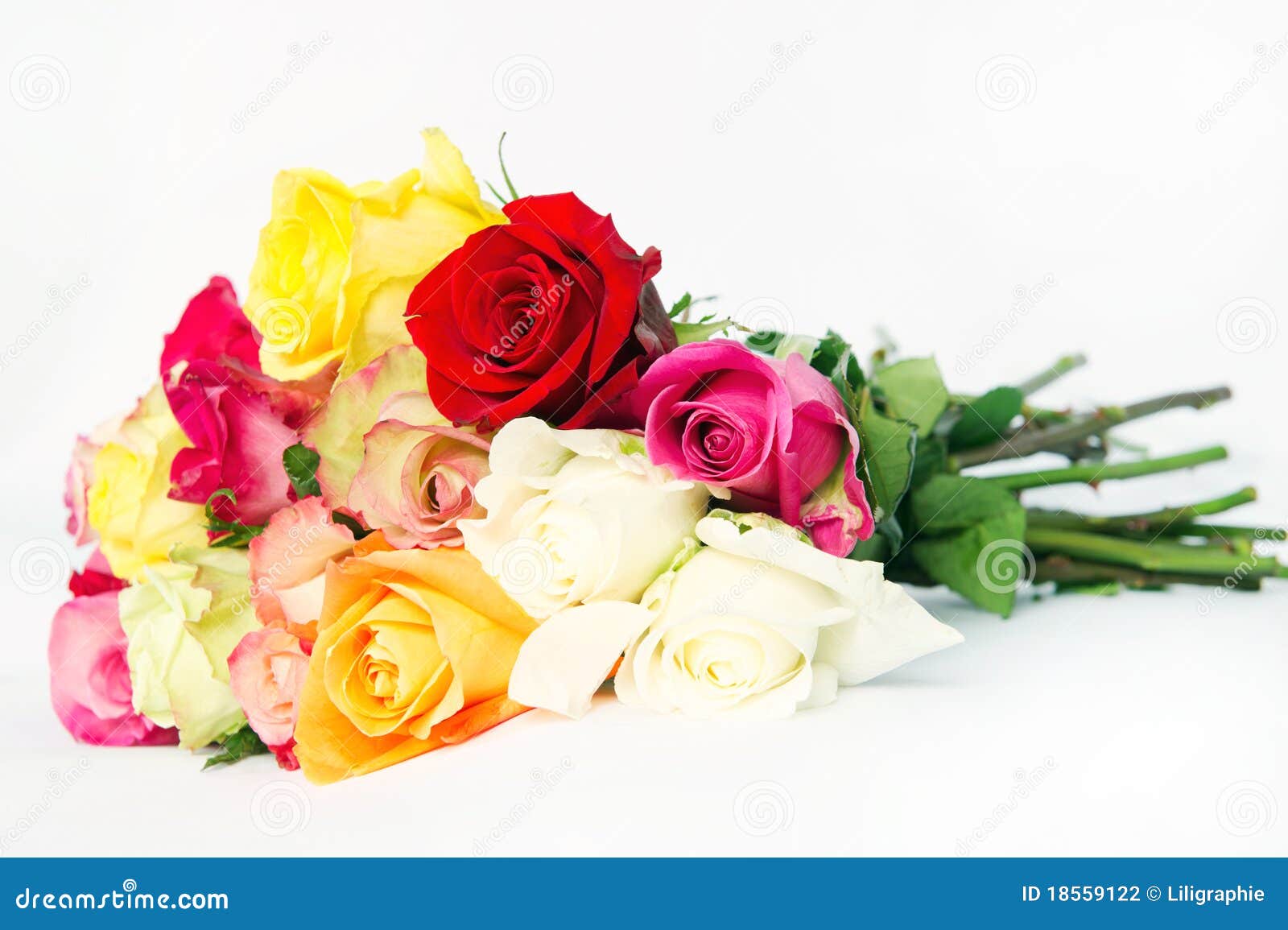 Bouquet of Fresh Multicolor Roses Stock Photo - Image of love, plant ...