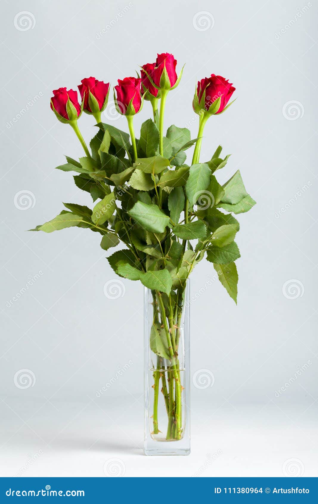 Bouquet fresh red roses stock photo. Image of love, light - 111380964