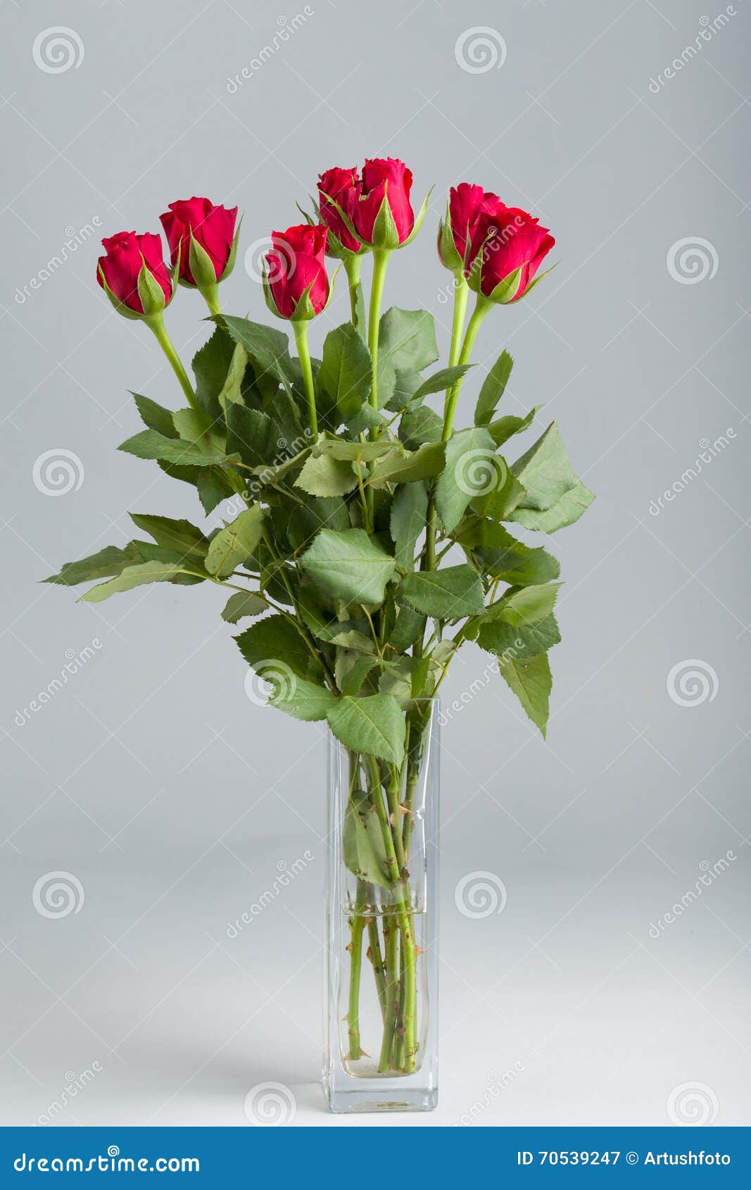 Bouquet of fresh red roses stock image. Image of concepts - 70539247