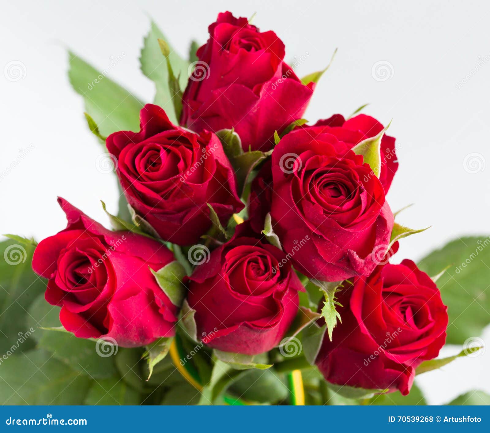 Bouquet of fresh red roses stock photo. Image of festive - 70539268