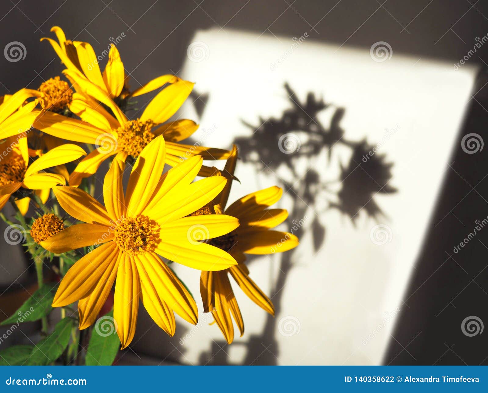 Bouquet of Fresh Sunroot Flowers Stock Photo - Image of bright ...