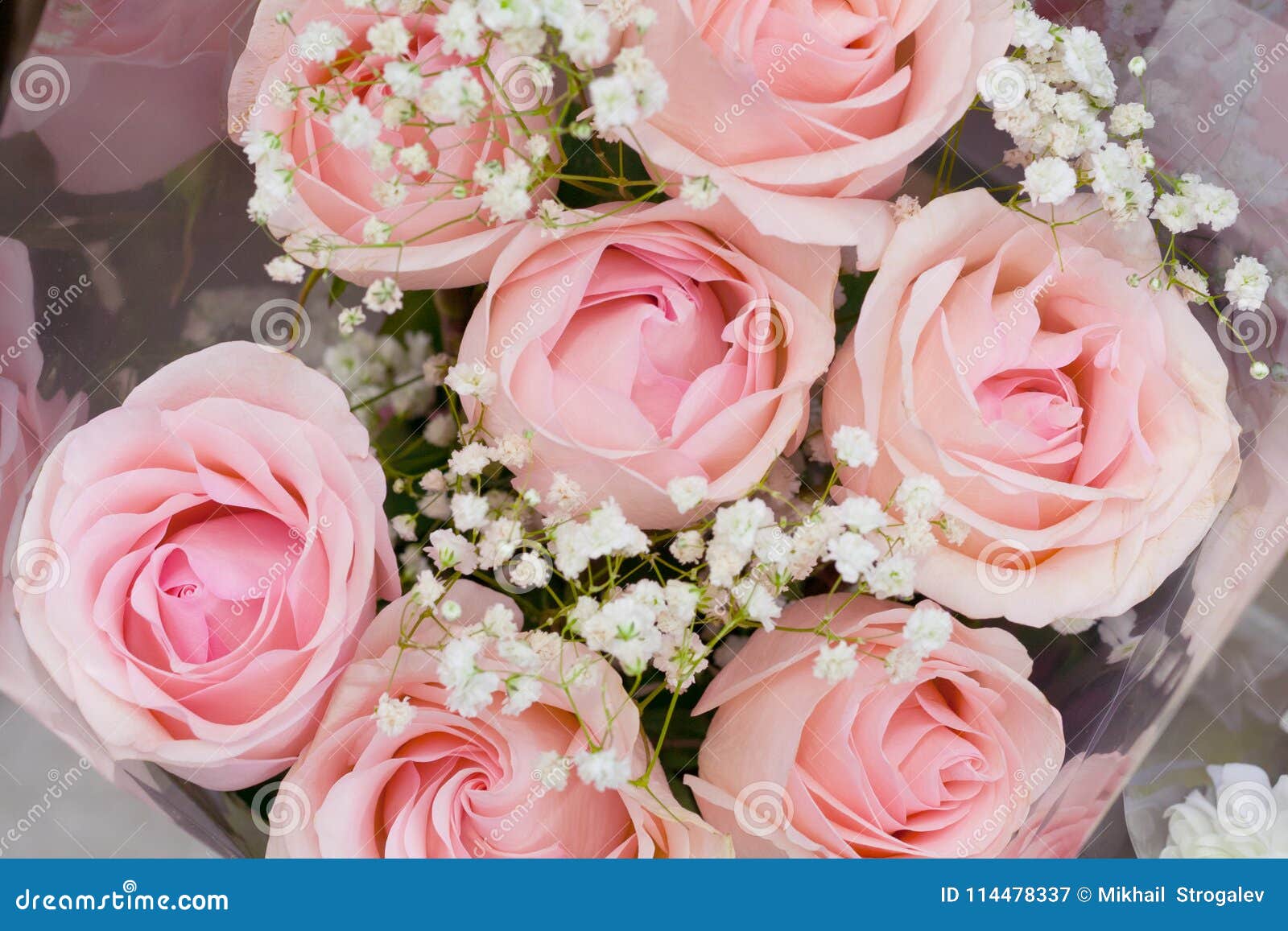 Bouquet of Gentle Pink Roses. Stock Image - Image of color, closeup ...
