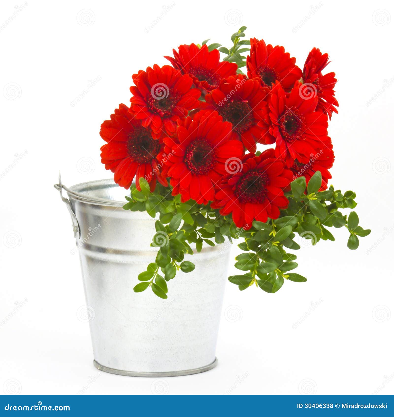 Bouquet of gerbera flowers stock photo. Image of daisy - 30406338