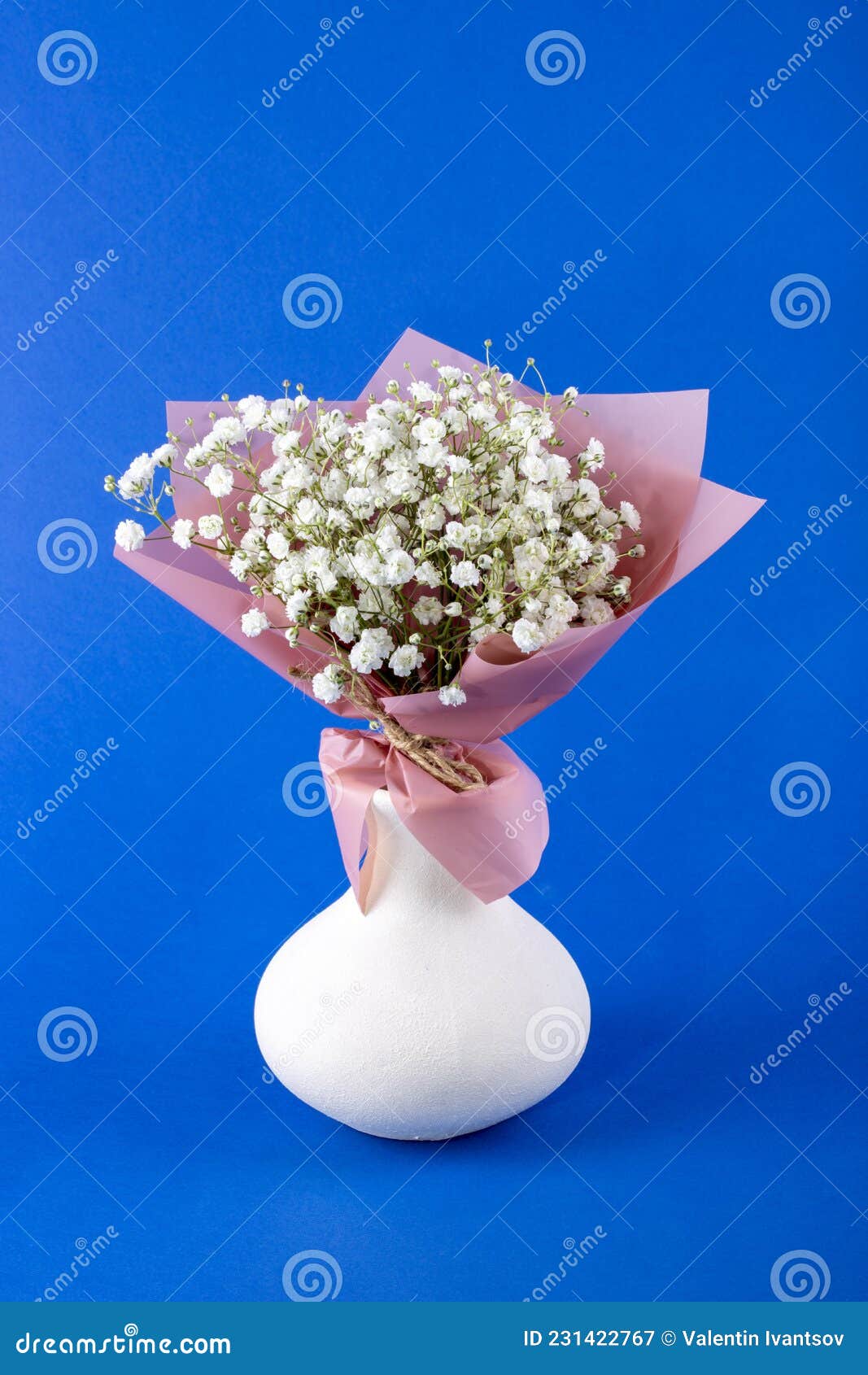 Bouquet of Gypsophila Flowers in a Wrapper on a Blue Background Stock ...