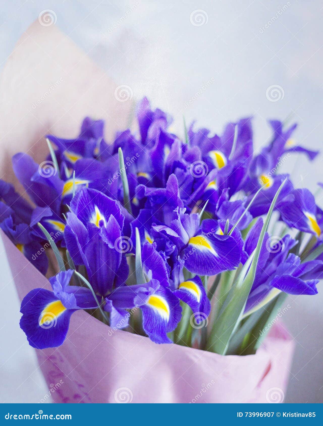 A bouquet of irises stock image. Image of love, purple - 73996907