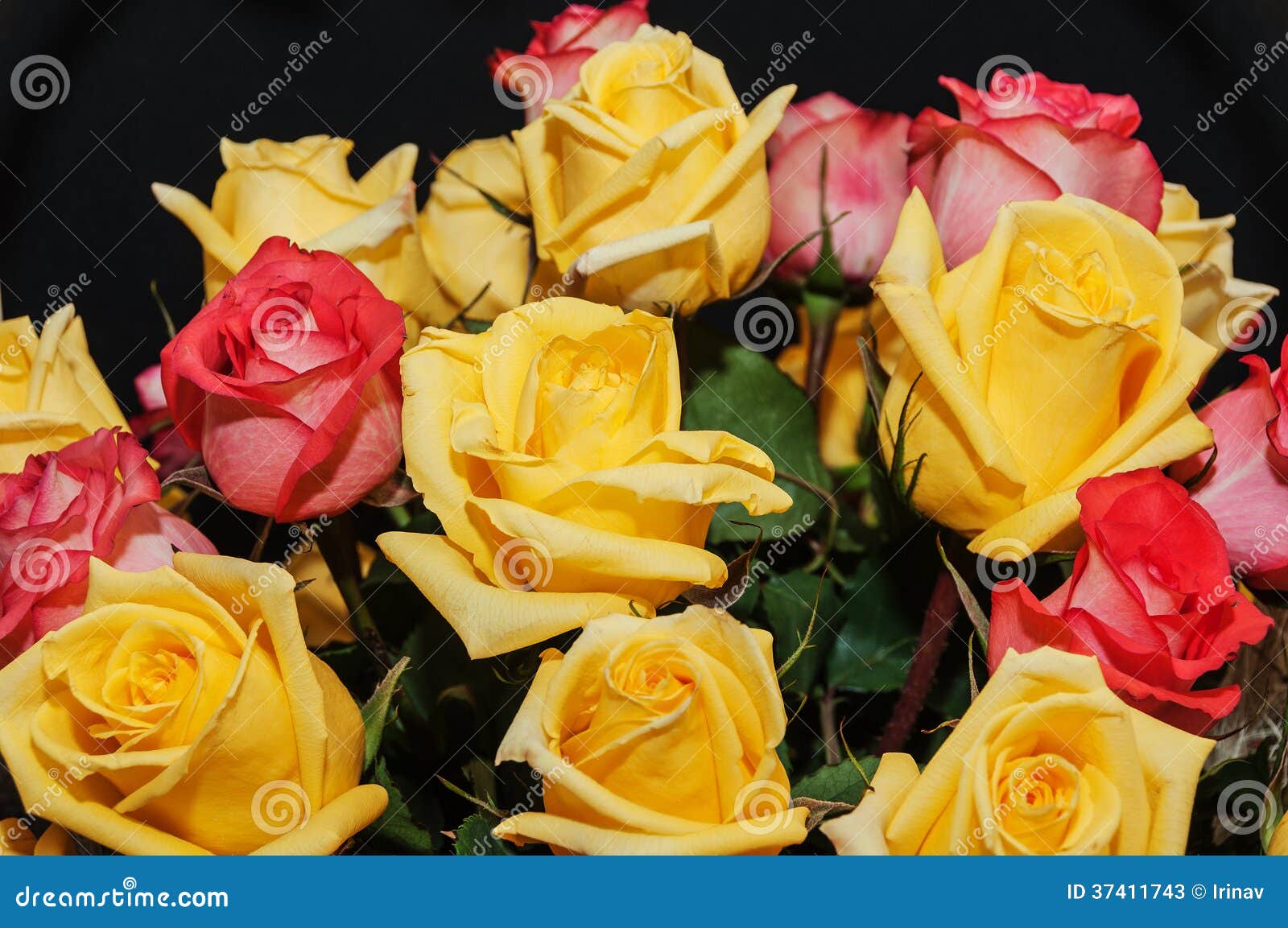 Bouquet Jaune De Roses Rouges Image stock - Image du nature, charme ...
