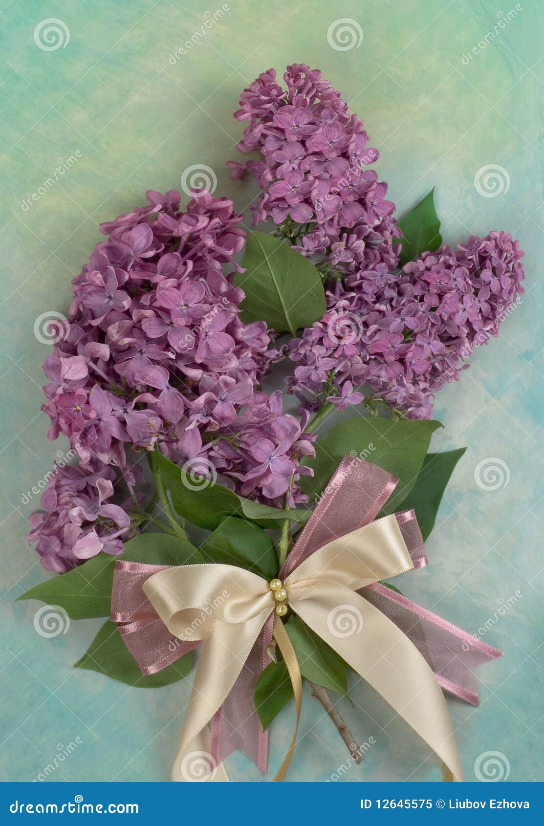 Bouquet of a lilac stock image. Image of bunch, present - 12645575