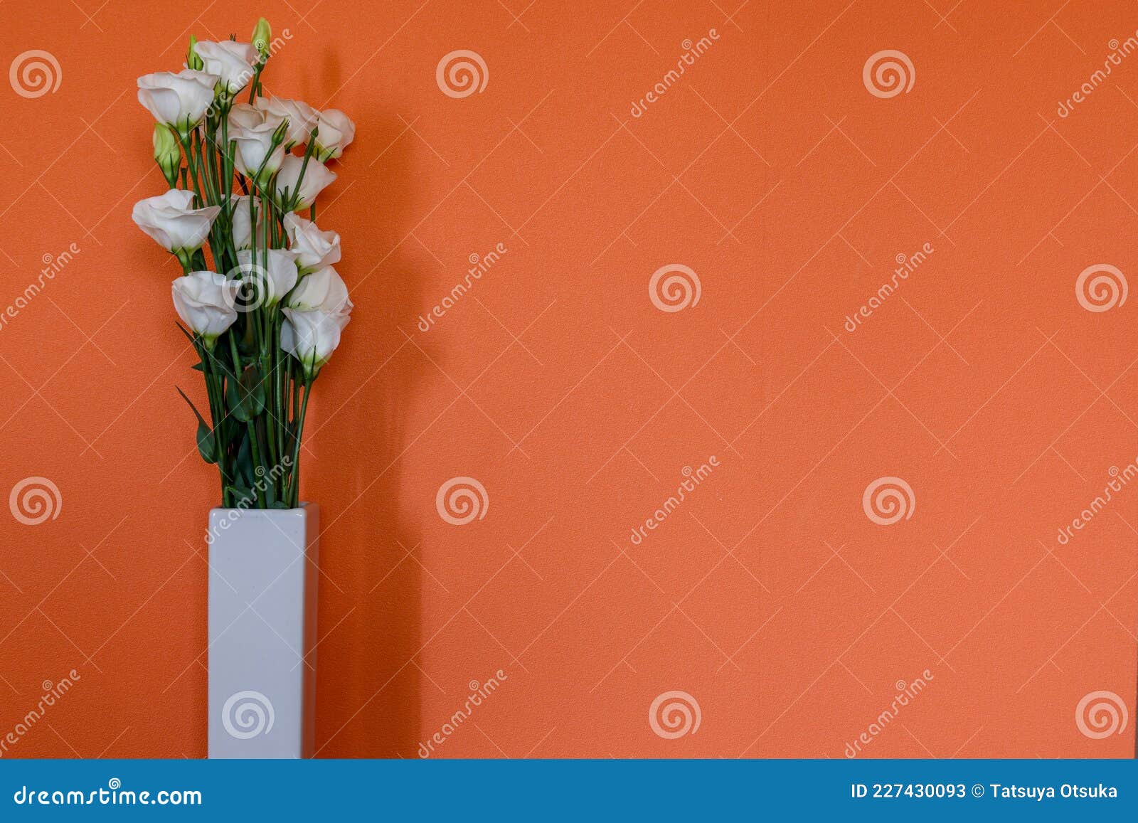 Bouquet of Lisianthus in a Orange Wall Background Stock Image - Image ...