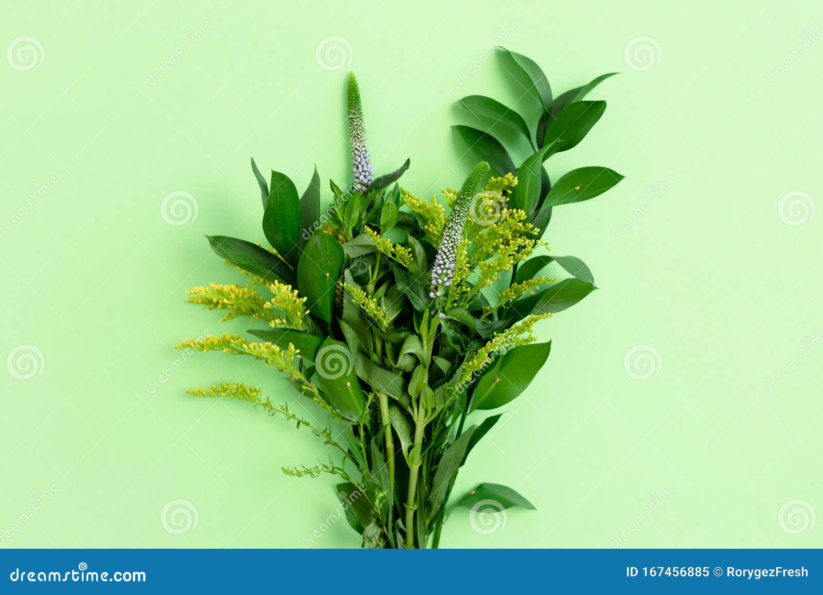 Solidago Bouquet