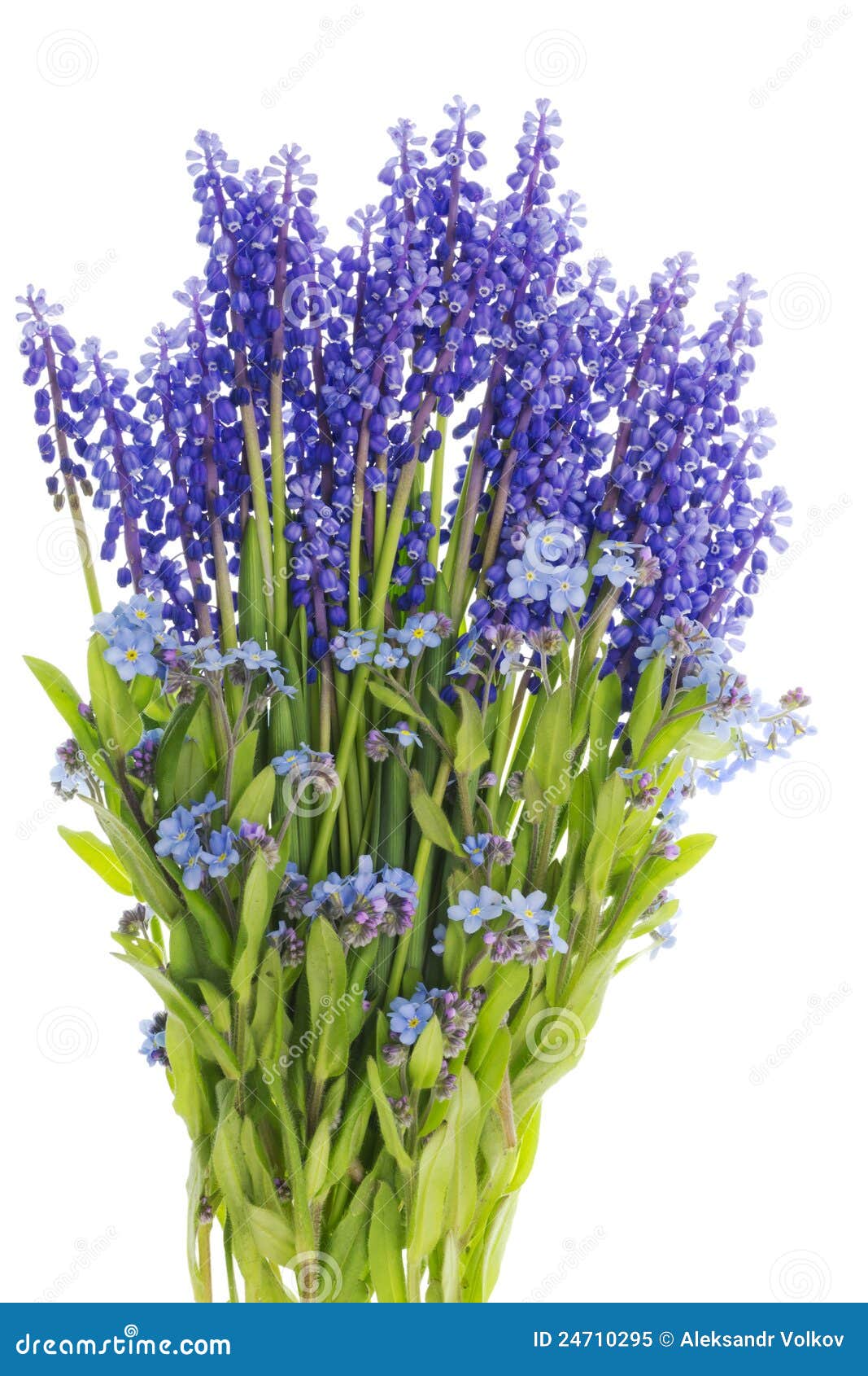 Bouquet from Mini Blue Flowers Stock Image - Image of wildflower ...