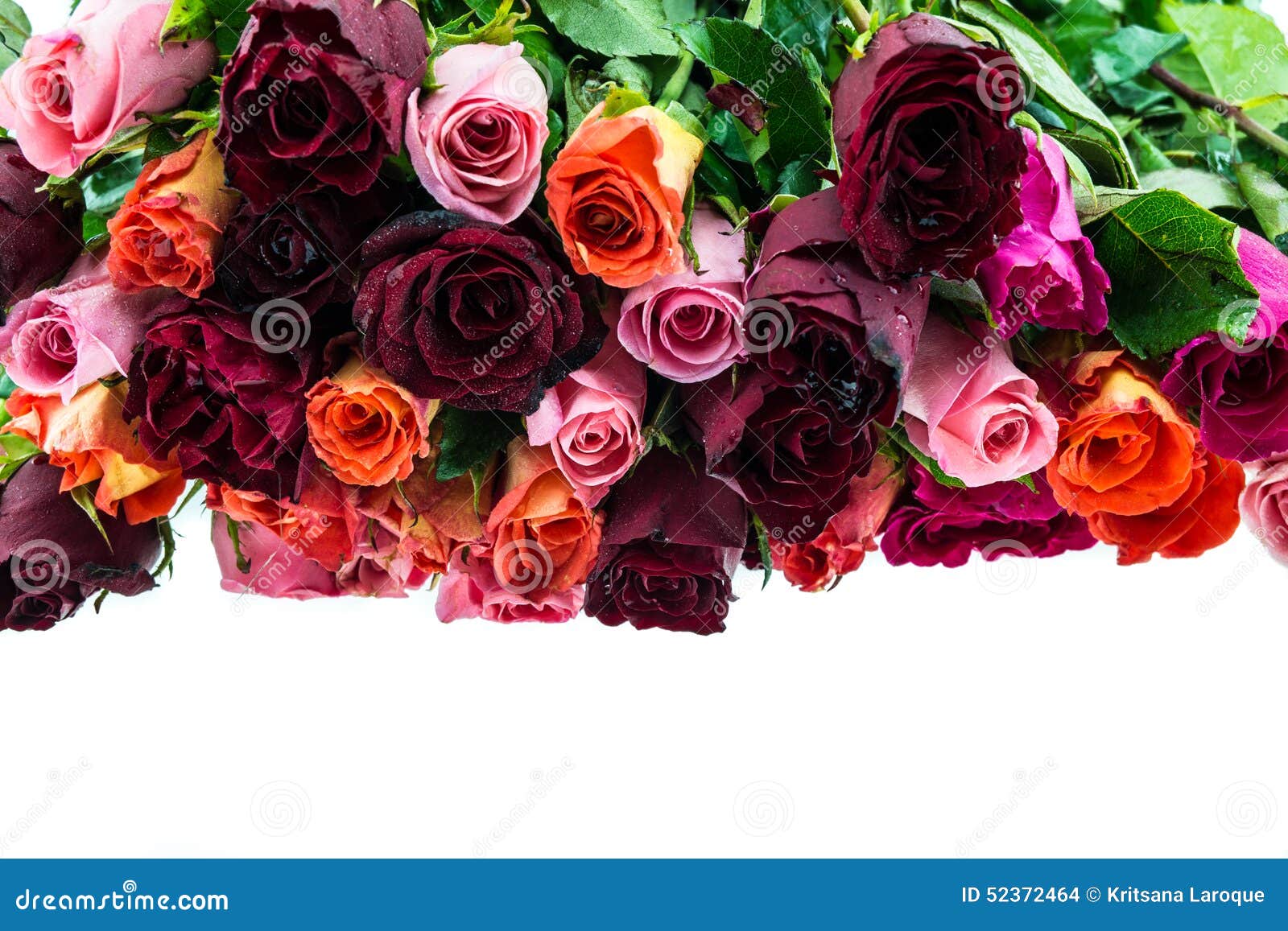 Bouquet of Multi-colored Roses Isolated on White Stock Photo - Image of ...