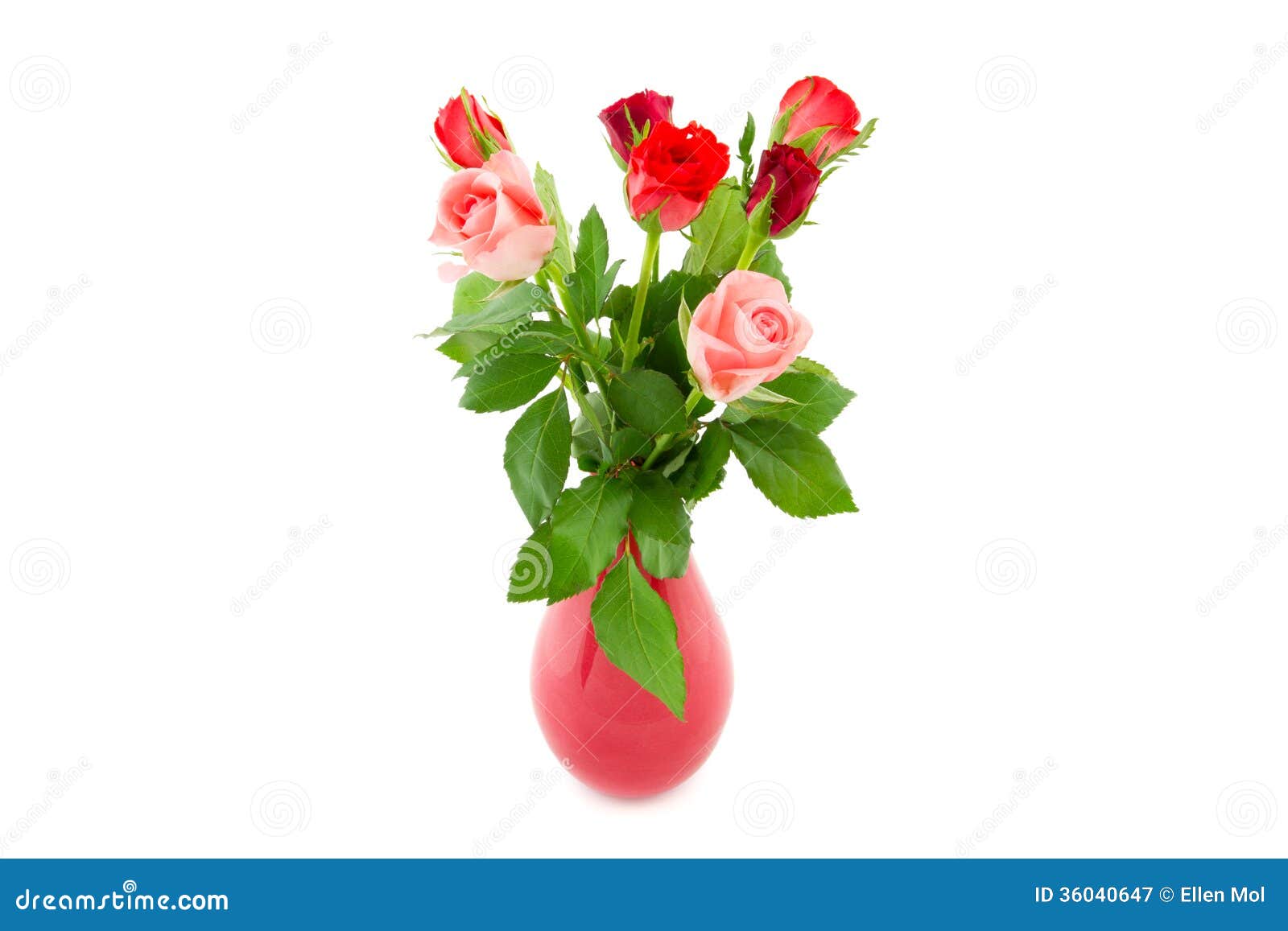 Bouquet of Multicolor Roses Stock Image - Image of flowering ...