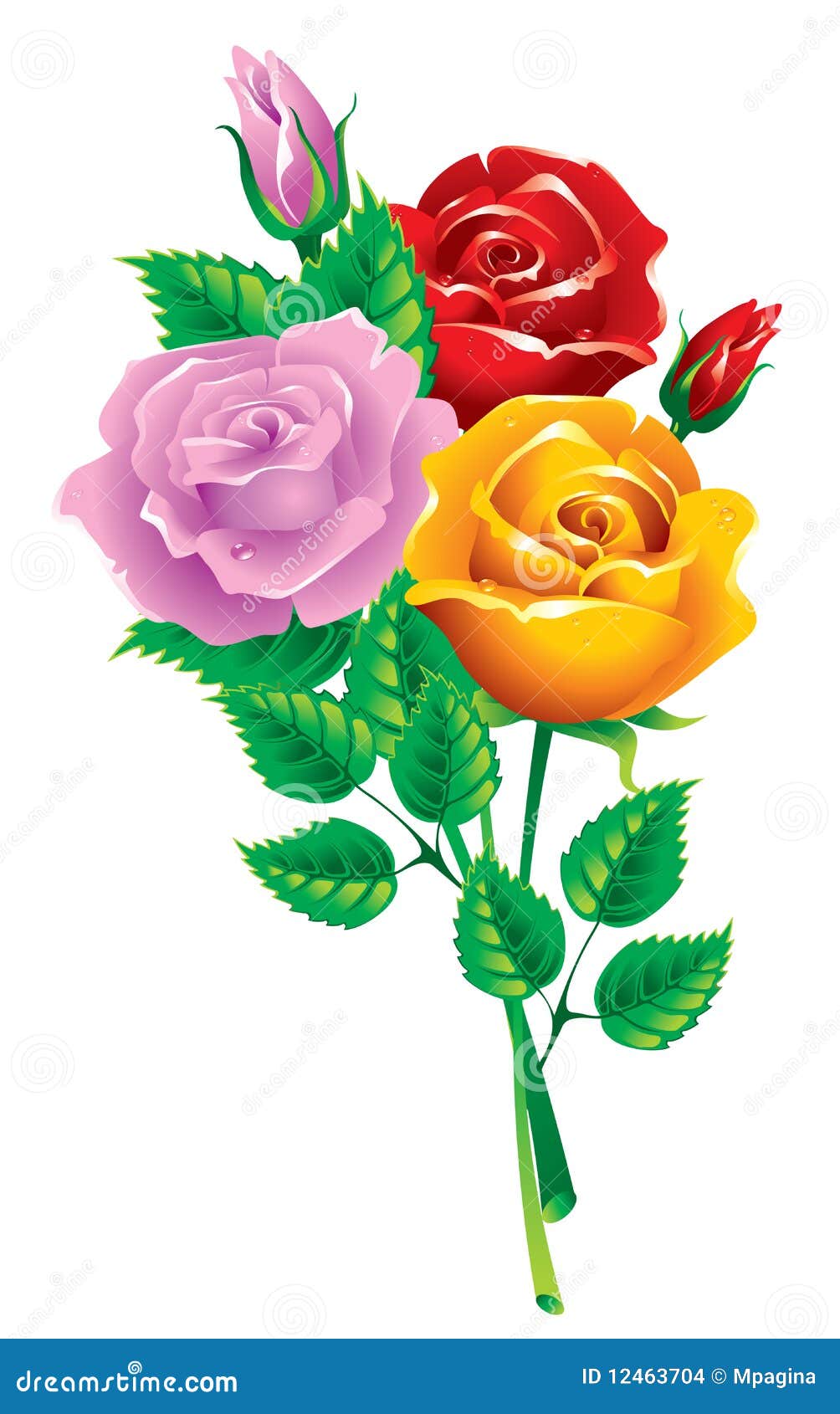 Bouquet of Multicolored Roses Stock Vector - Illustration of leaf, stem ...