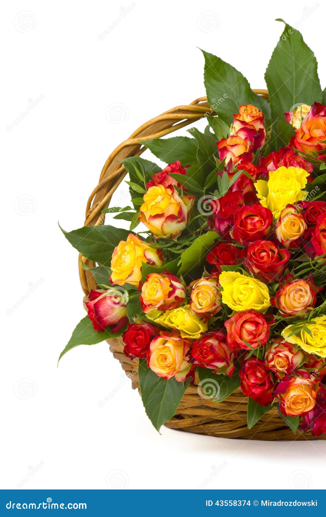 A Bouquet of Multicolored Roses Stock Photo - Image of celebration ...