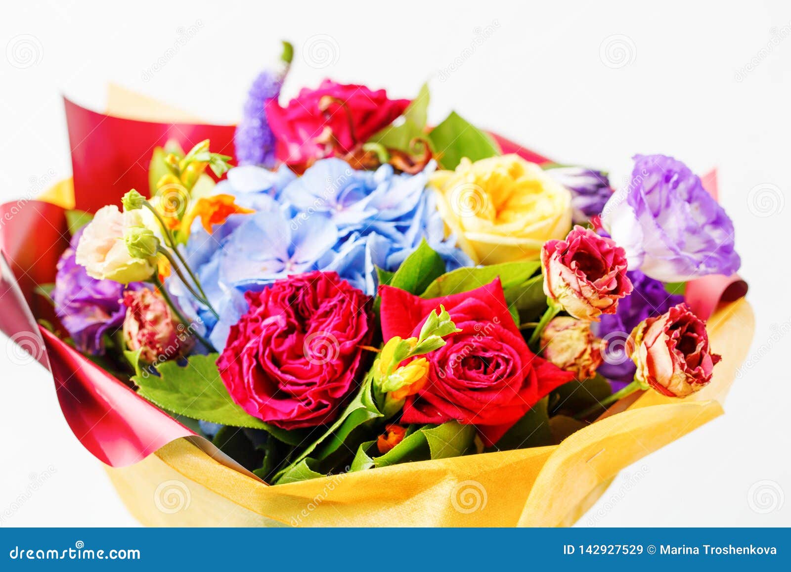 Bouquet of Multicolored Roses on Empty Background Stock Image - Image ...