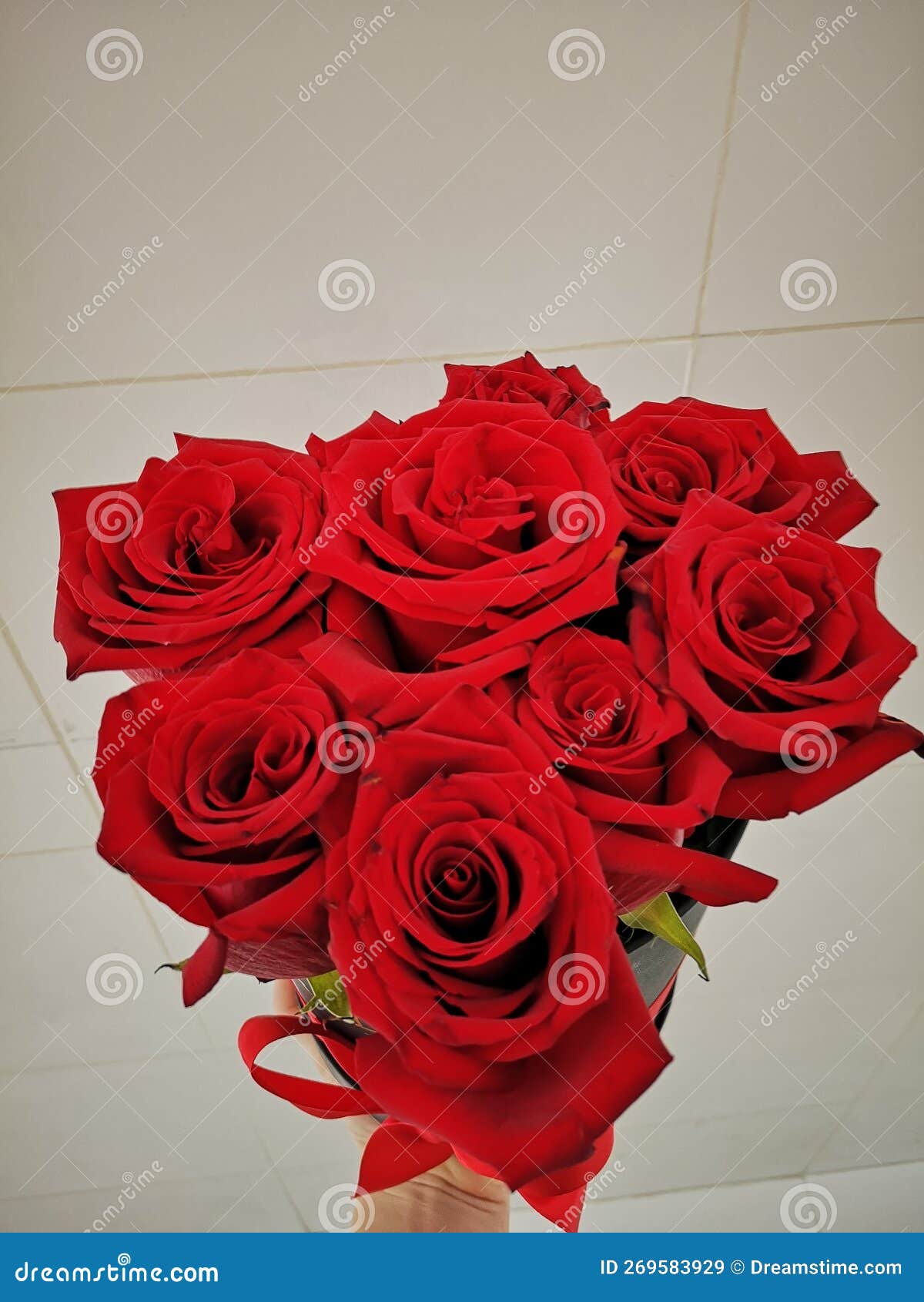 Bouquet of old roses stock image. Image of flor, semimarchita - 269583929
