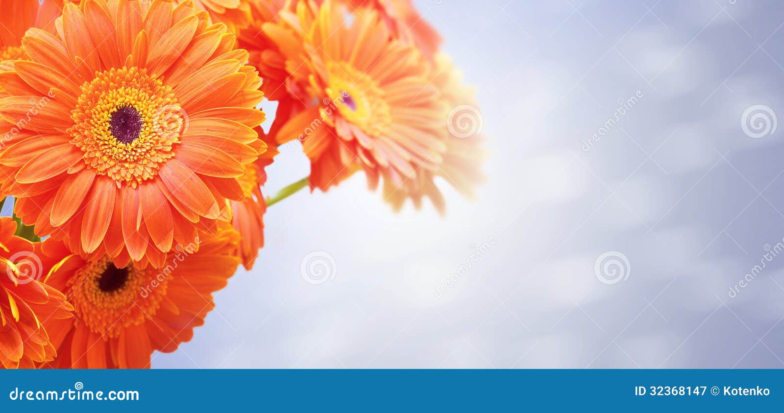Bouquet of orange flowers stock image. Image of floral - 32368147